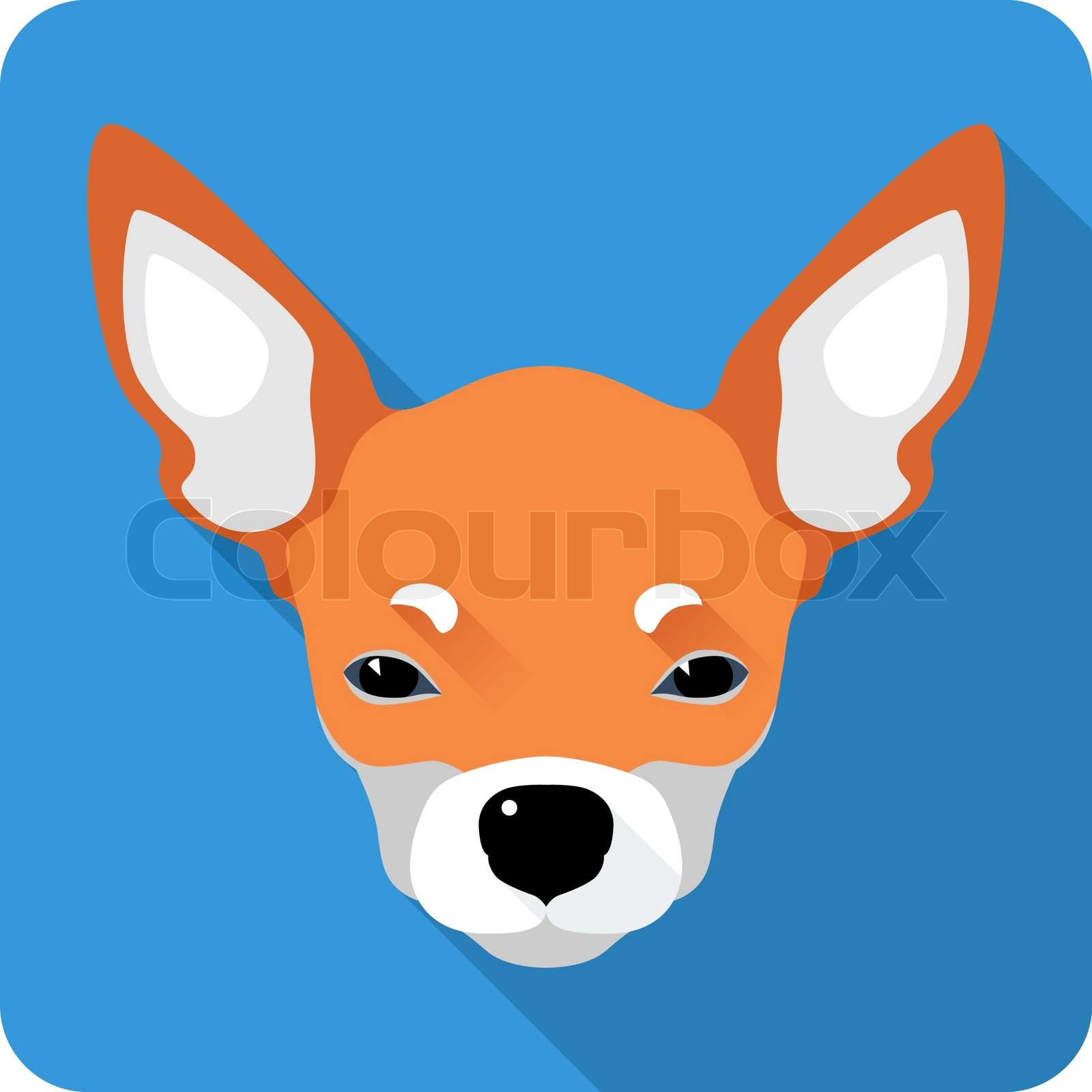 dog Chihuahua icon flat design | Stock vector | Colourbox