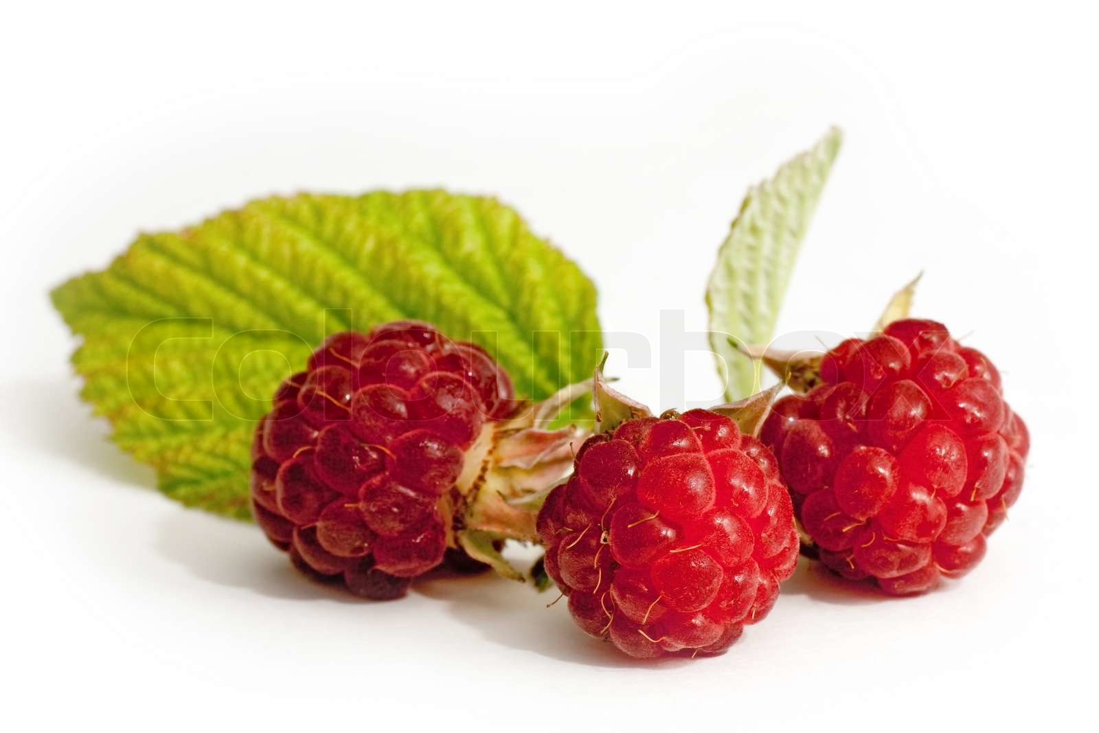 Small raspberries with a raspberry leaf isolated on white | Stock image ...
