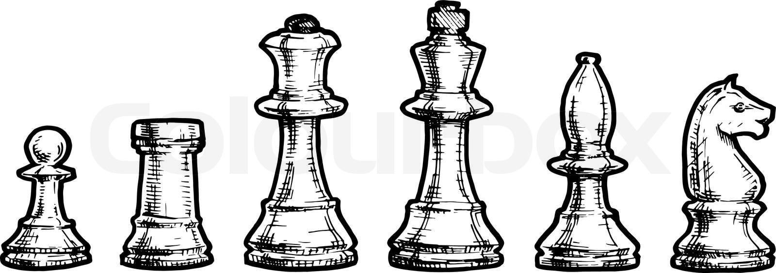 drawing of chess | Stock vector | Colourbox