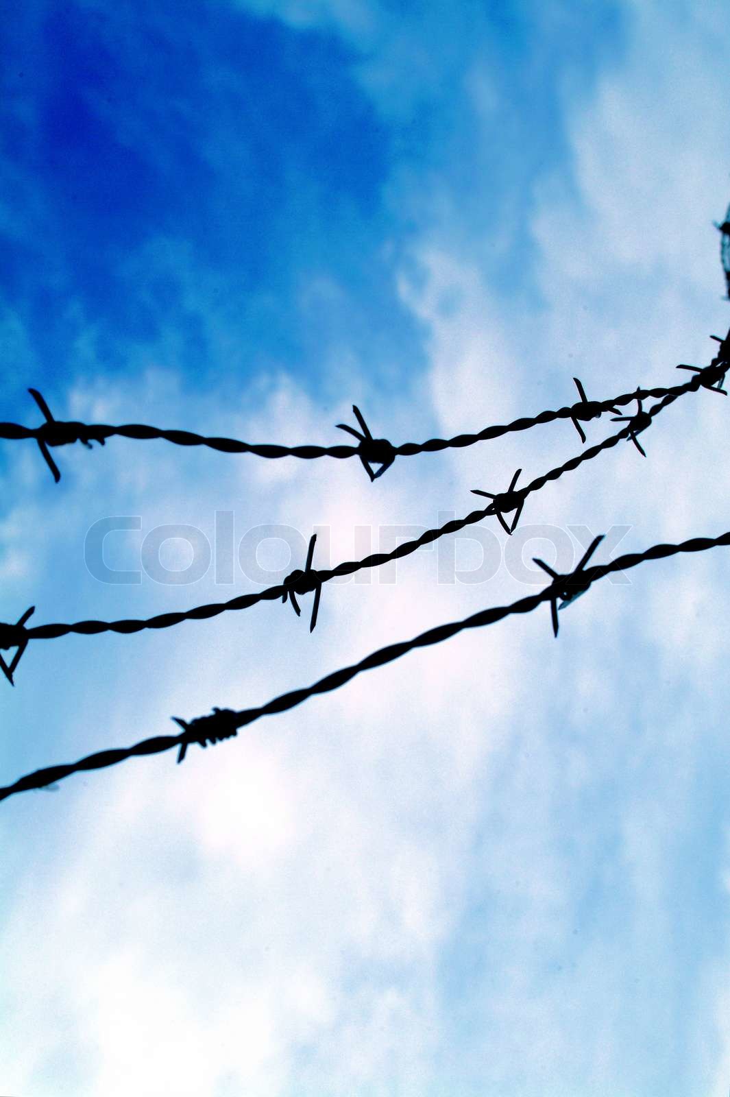 Stacheldraht | Stock Bild | Colourbox