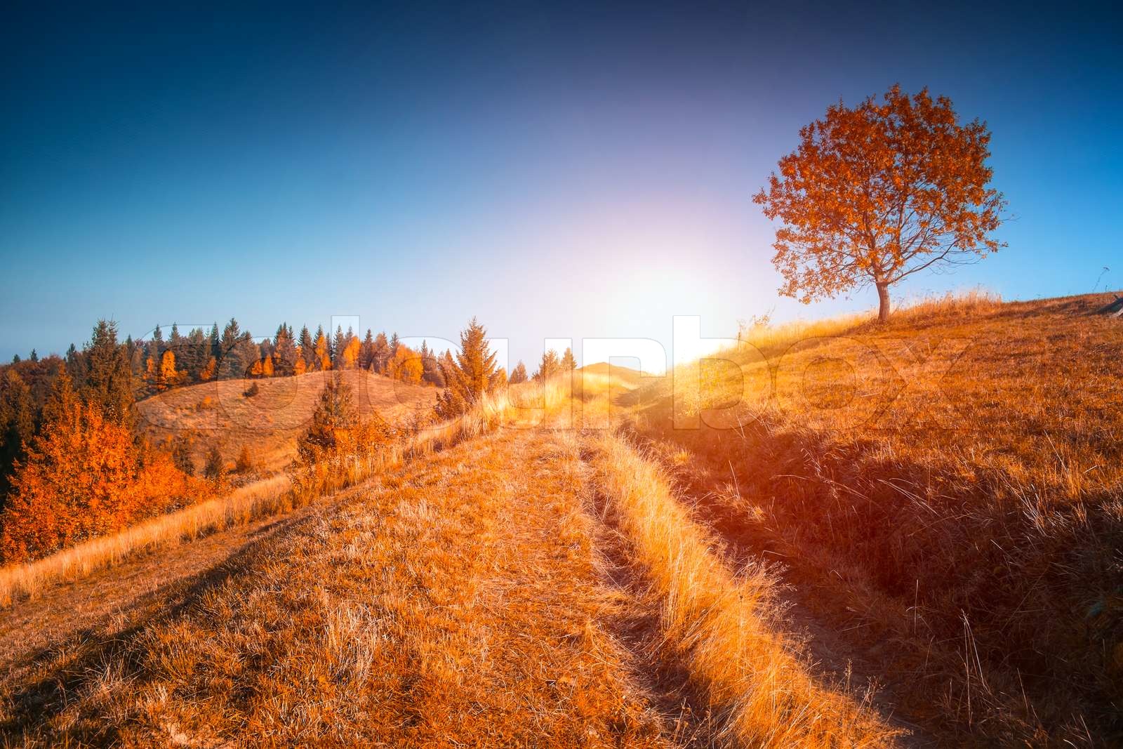 Fantastic sunny hills | Stock image | Colourbox