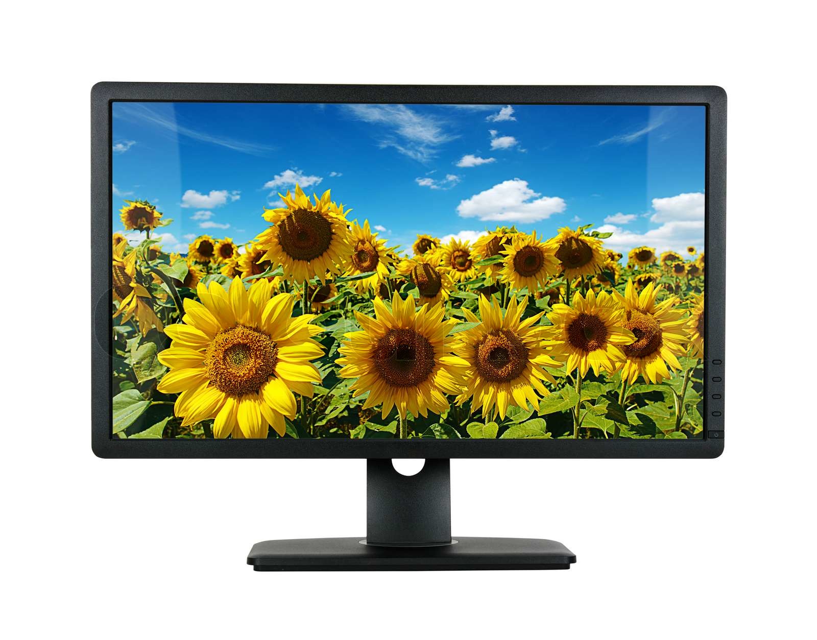 Computer monitor | Stock image | Colourbox