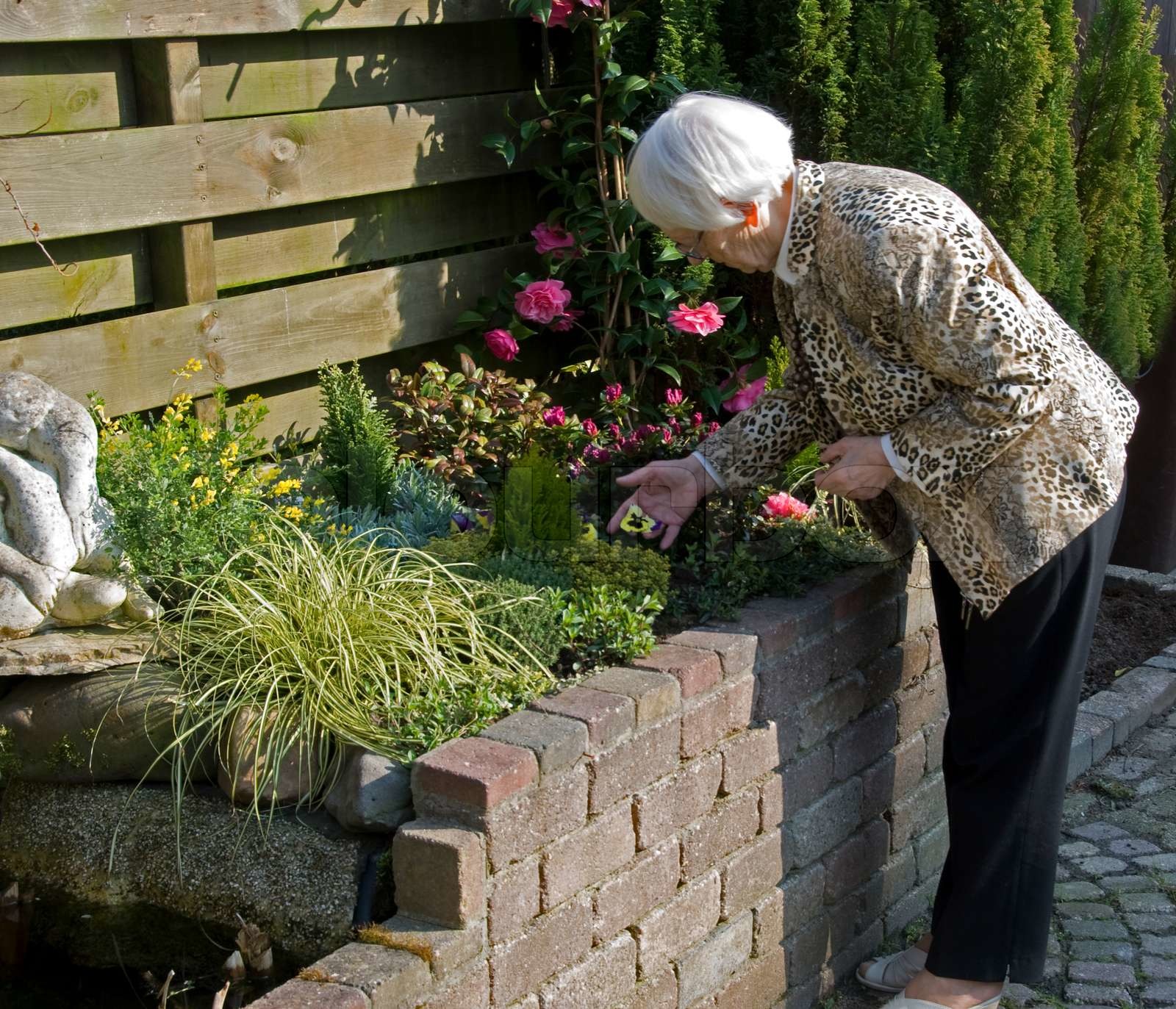 grandma old woman working in garden | Stock image | Colourbox