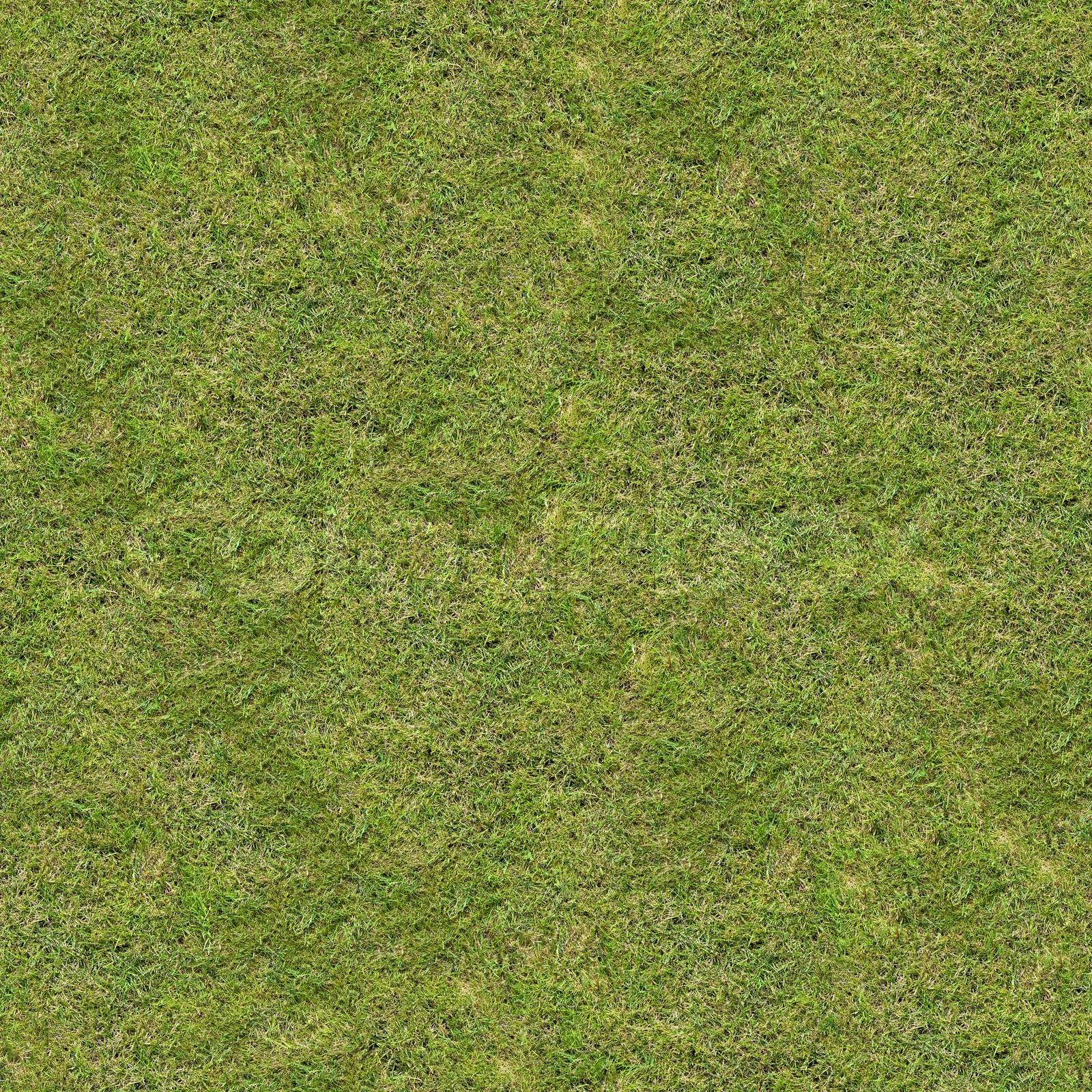 Small Green Grasses. Seamless Texture. | Stock image | Colourbox