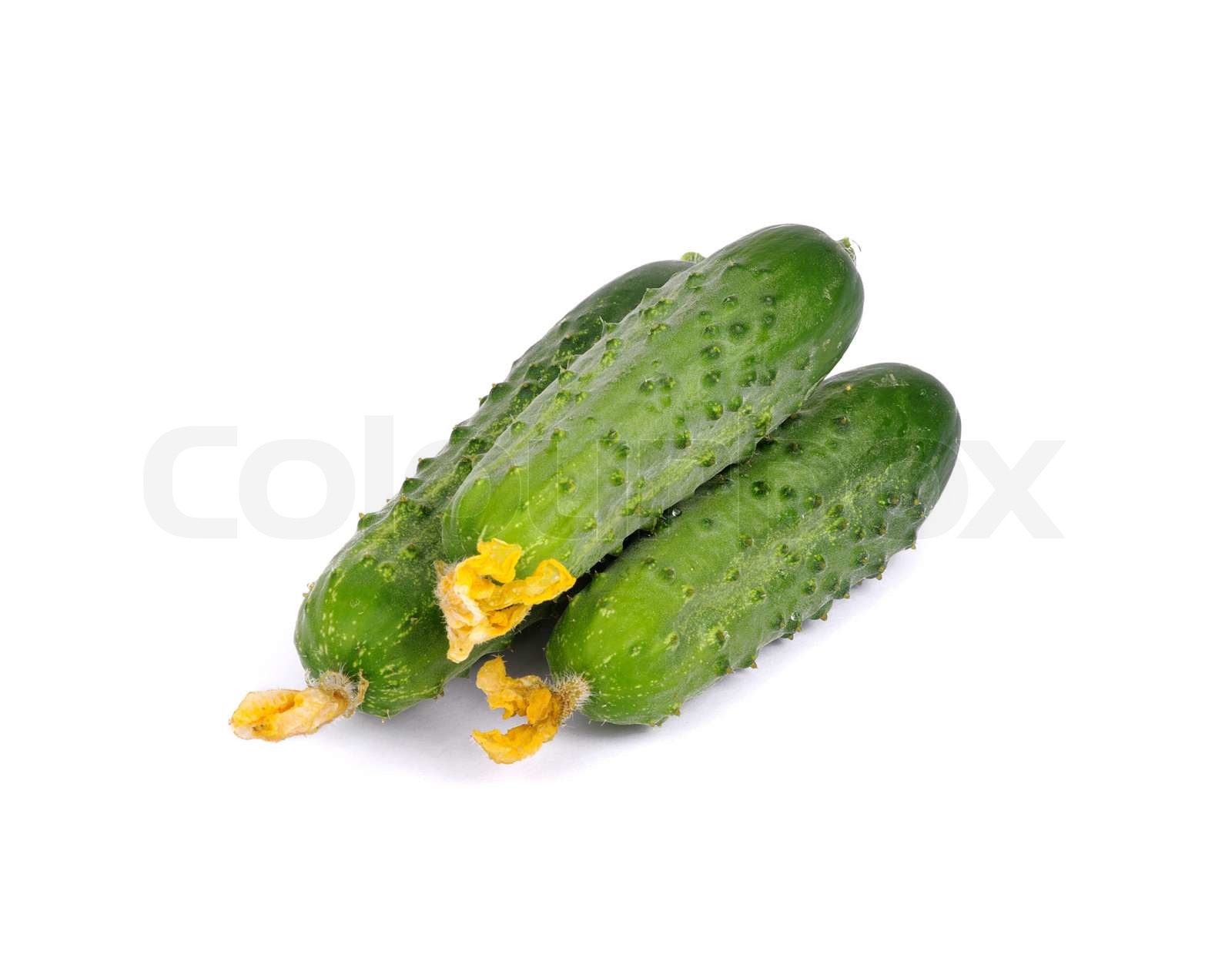 green cucumber\ | Stock image | Colourbox