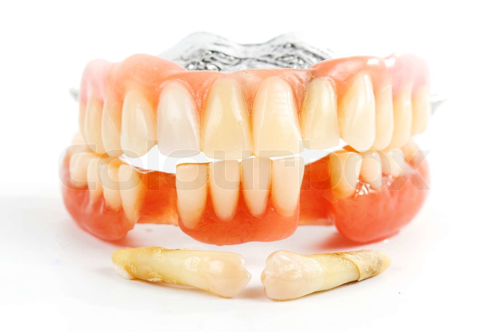 false teeth prosthetic | Stock image | Colourbox