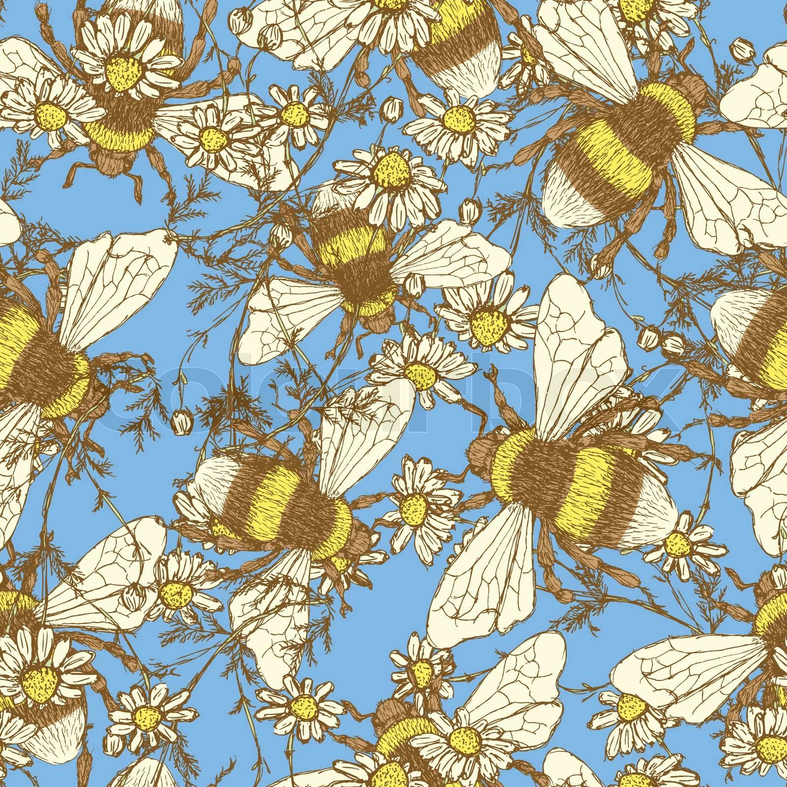 Daisy flower and bees | Stock vector | Colourbox