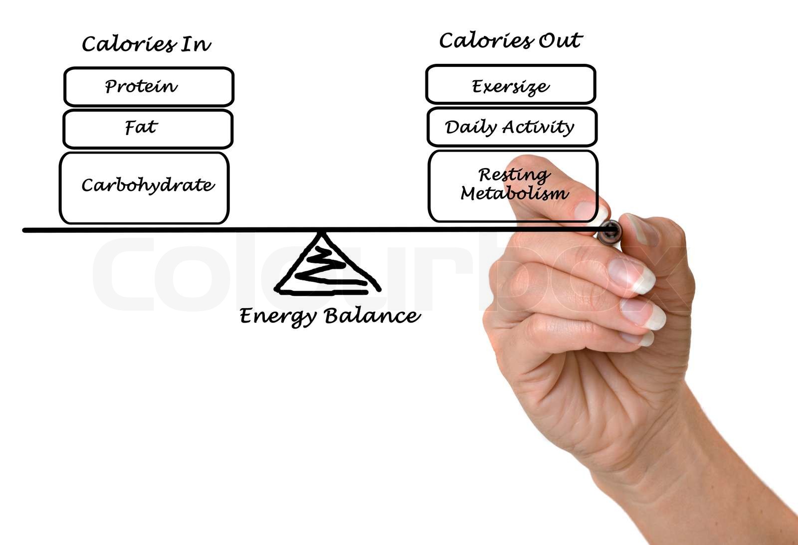 Balance between Energy intake and Energy expenditure | Stock image ...