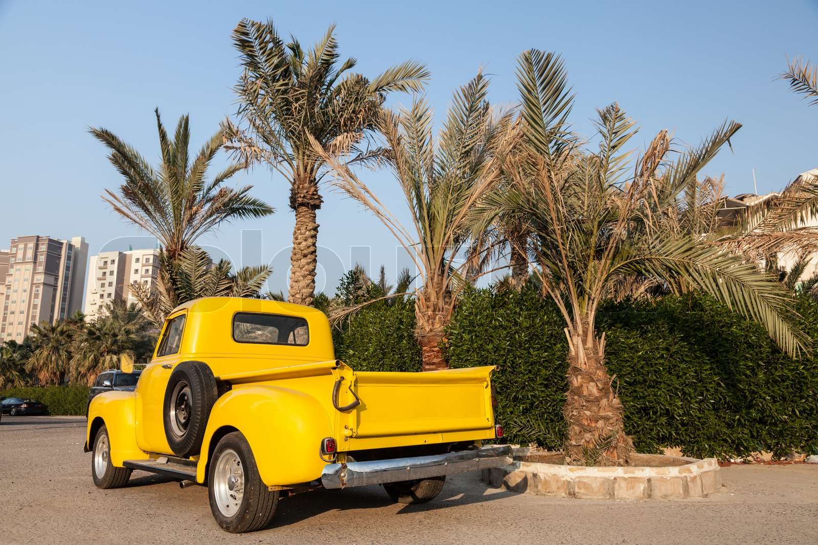 Classic Yellow Chevy Pickup Truck Under The Palm Trees Stock Image