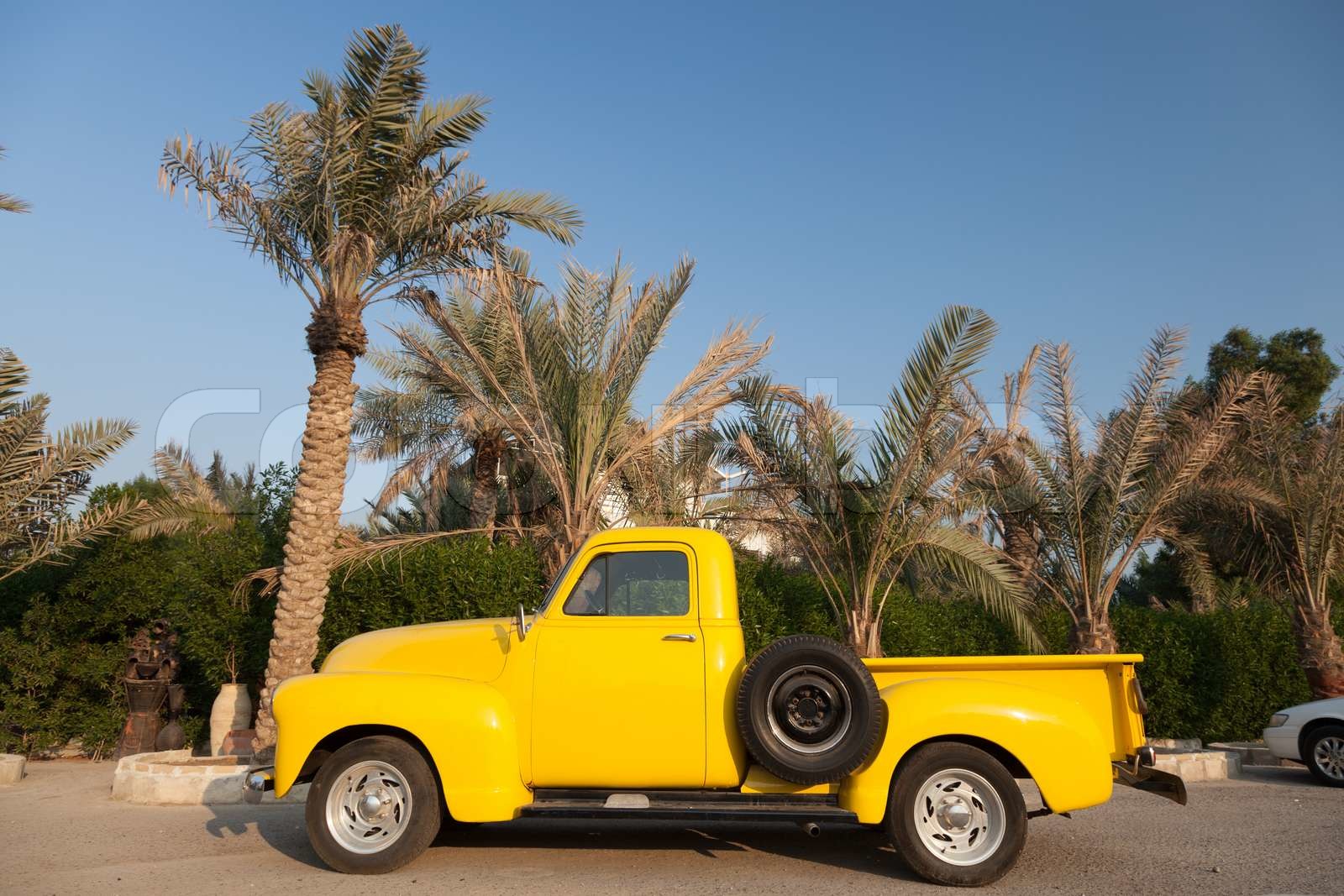 Classic Yellow Chevy Pickup Truck Under The Palm Trees Stock Image