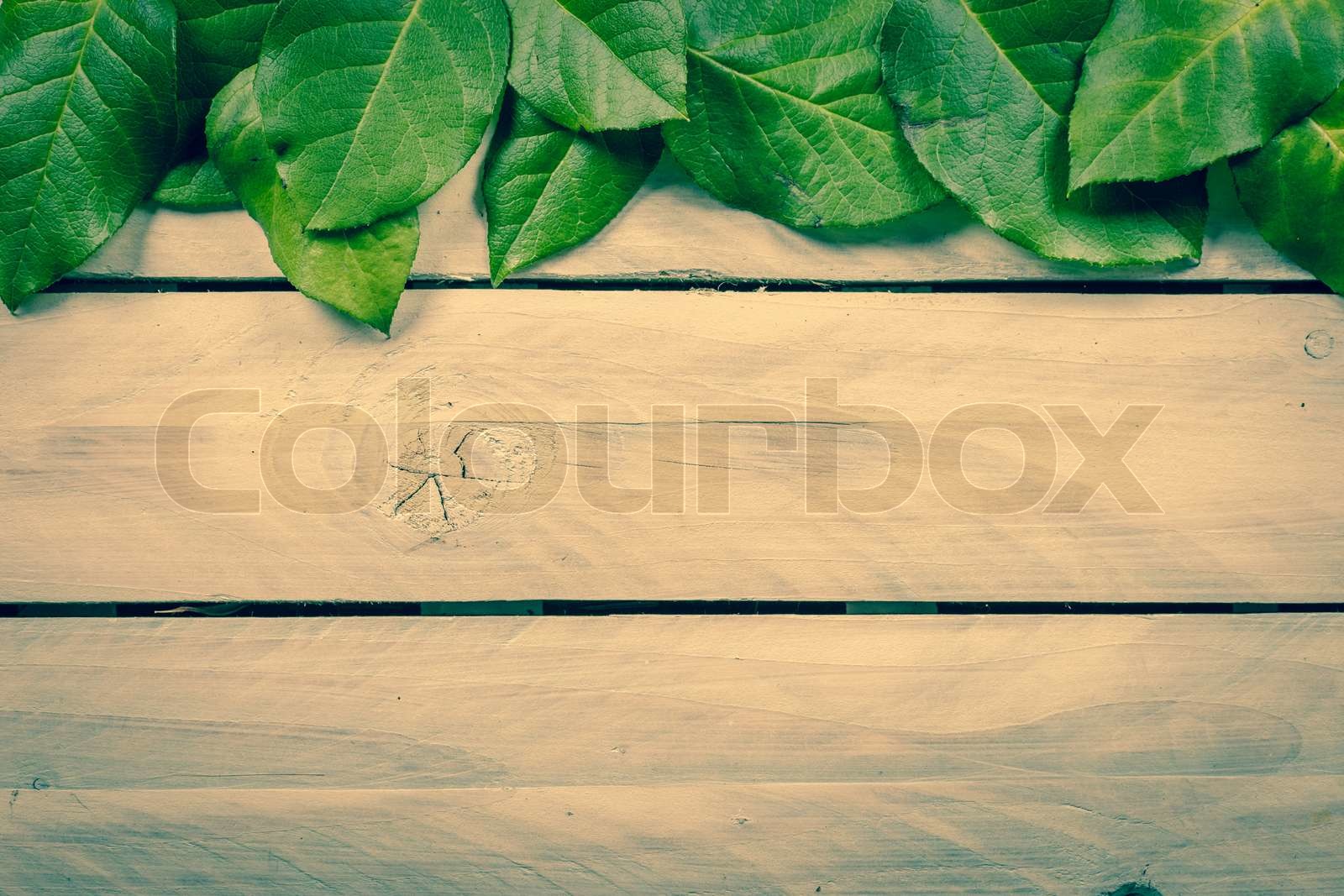 Leaves on wooden background | Stock image | Colourbox