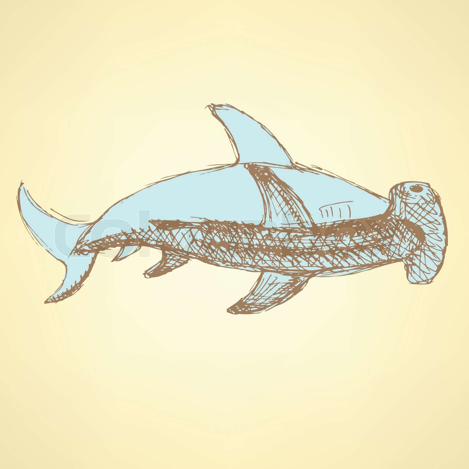 Hammerhead Shark Drawing