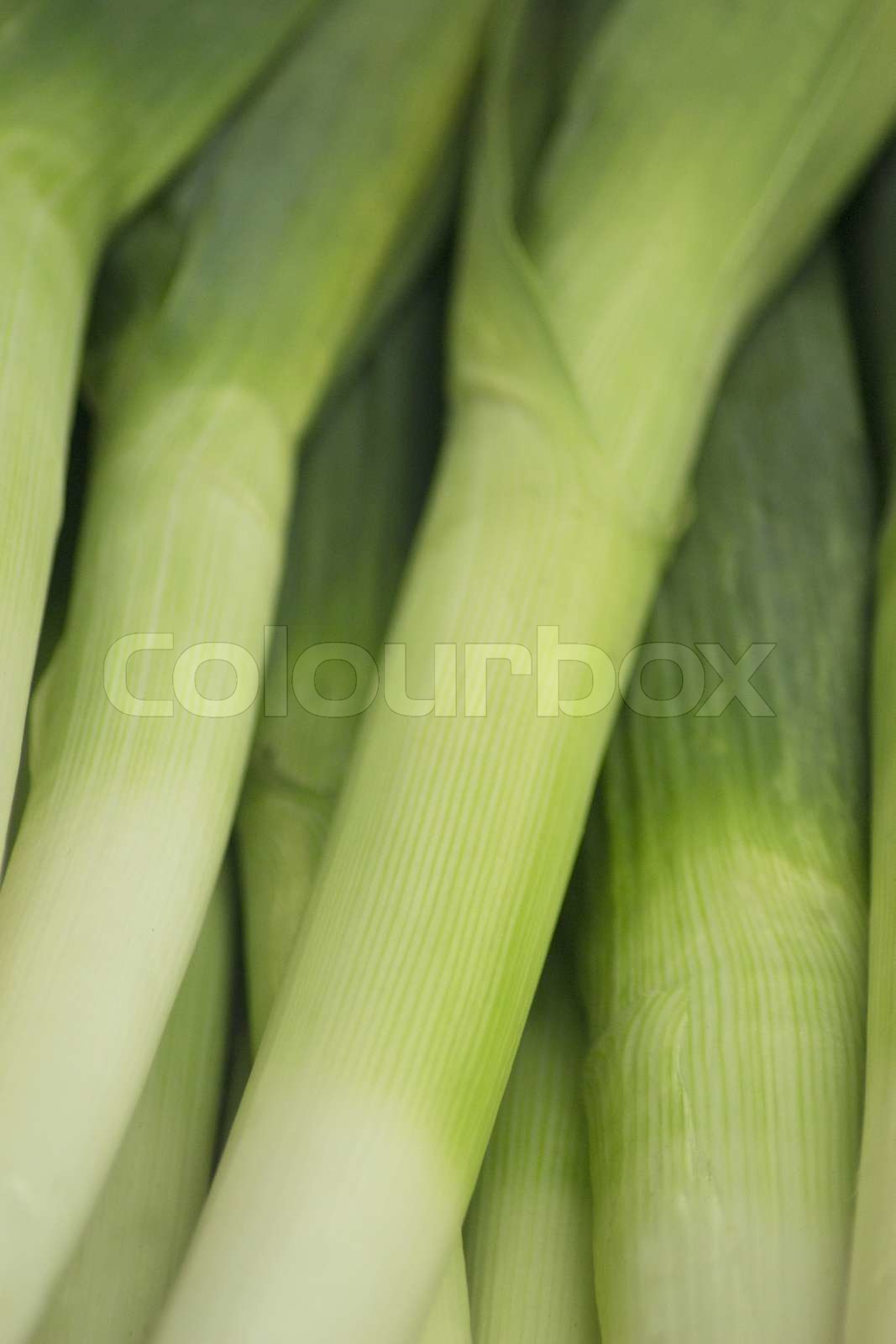 Leek vegetables in supermarket grocers | Stock image | Colourbox