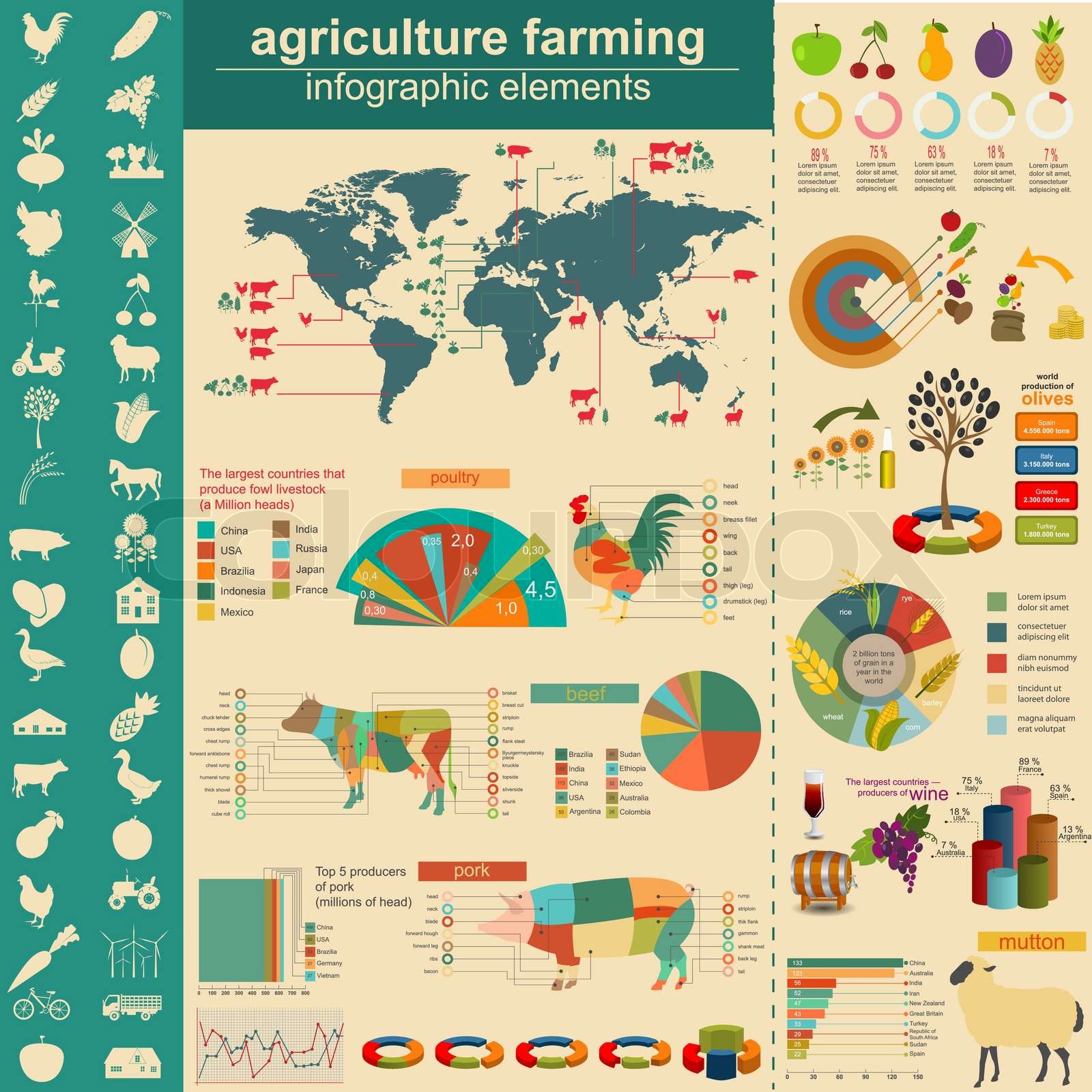 Agriculture infographics | Stock vector | Colourbox