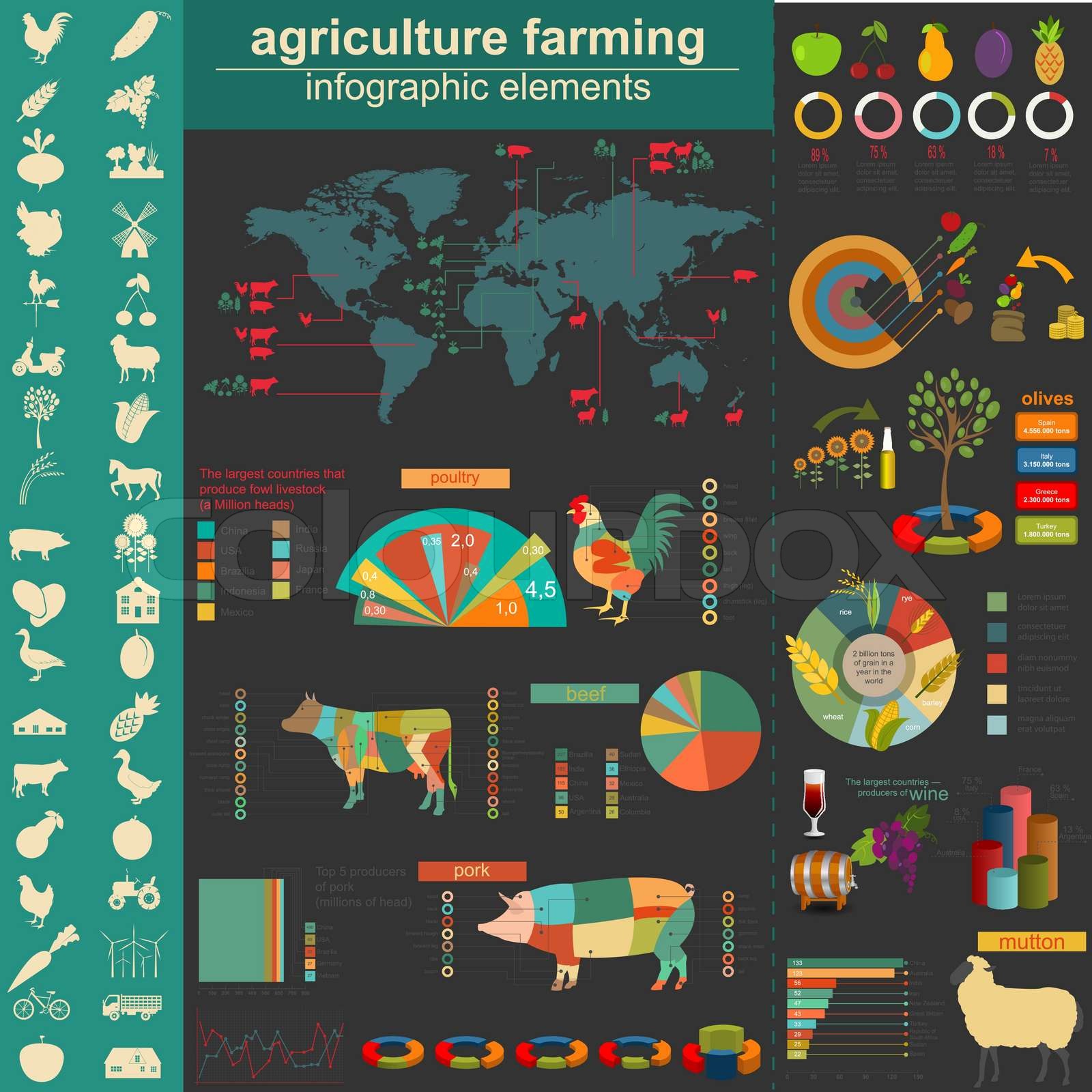 Agriculture infographics | Stock vector | Colourbox