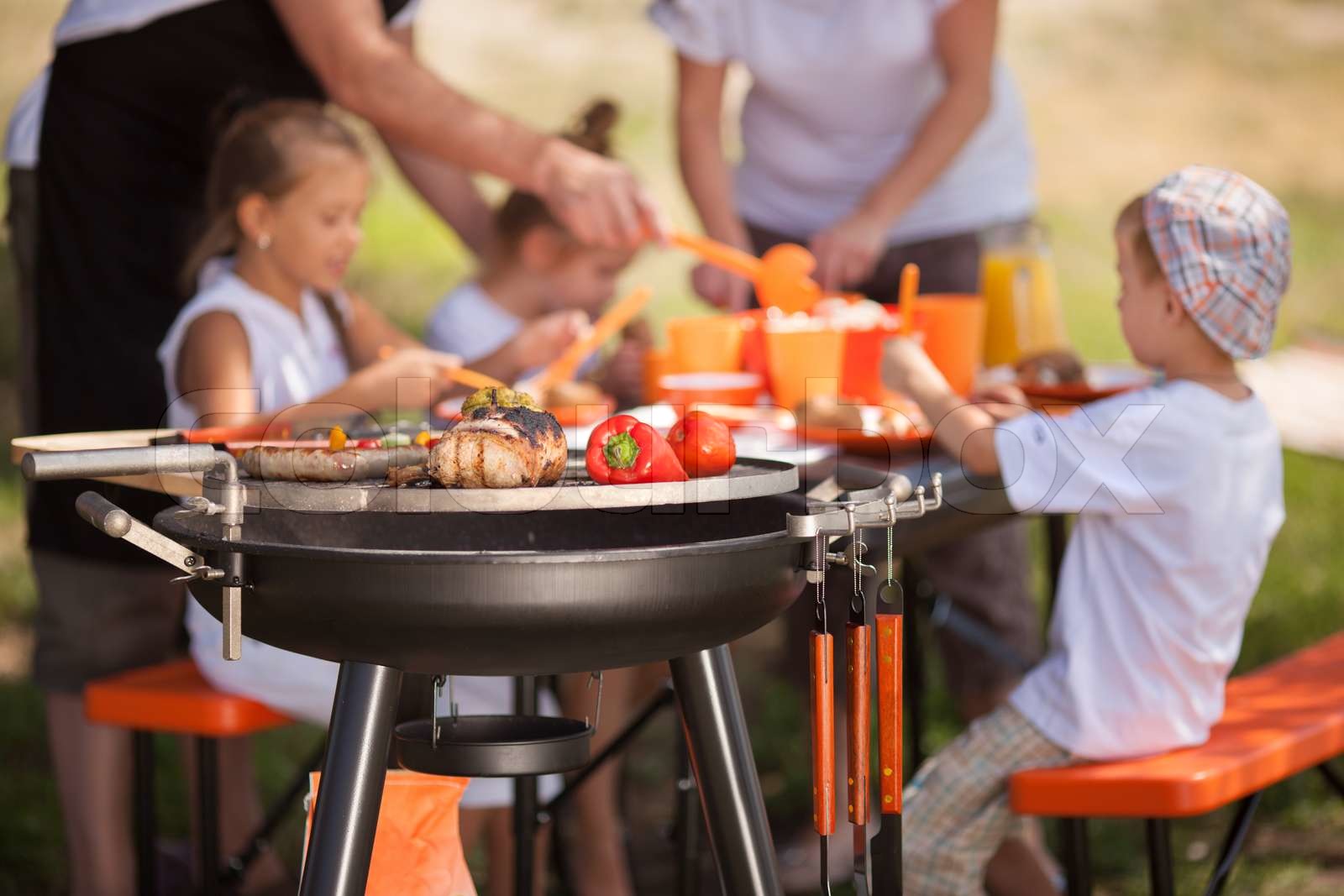 Family having a barbecue | Stock image | Colourbox