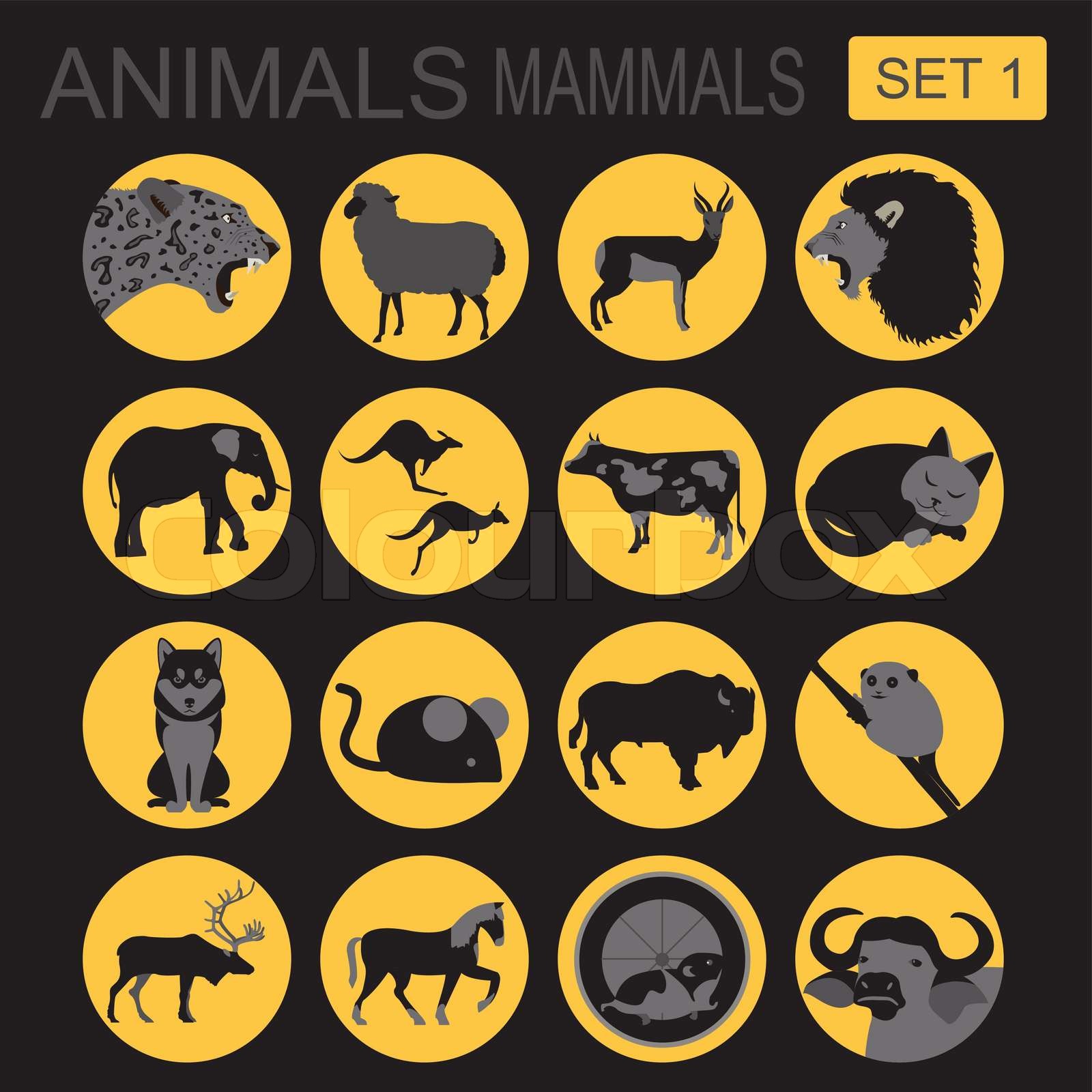 Animals mammals icon set. Vector flat style | Stock vector | Colourbox Animals mammals icon set. Vector flat style | Stock vector | Colourbox