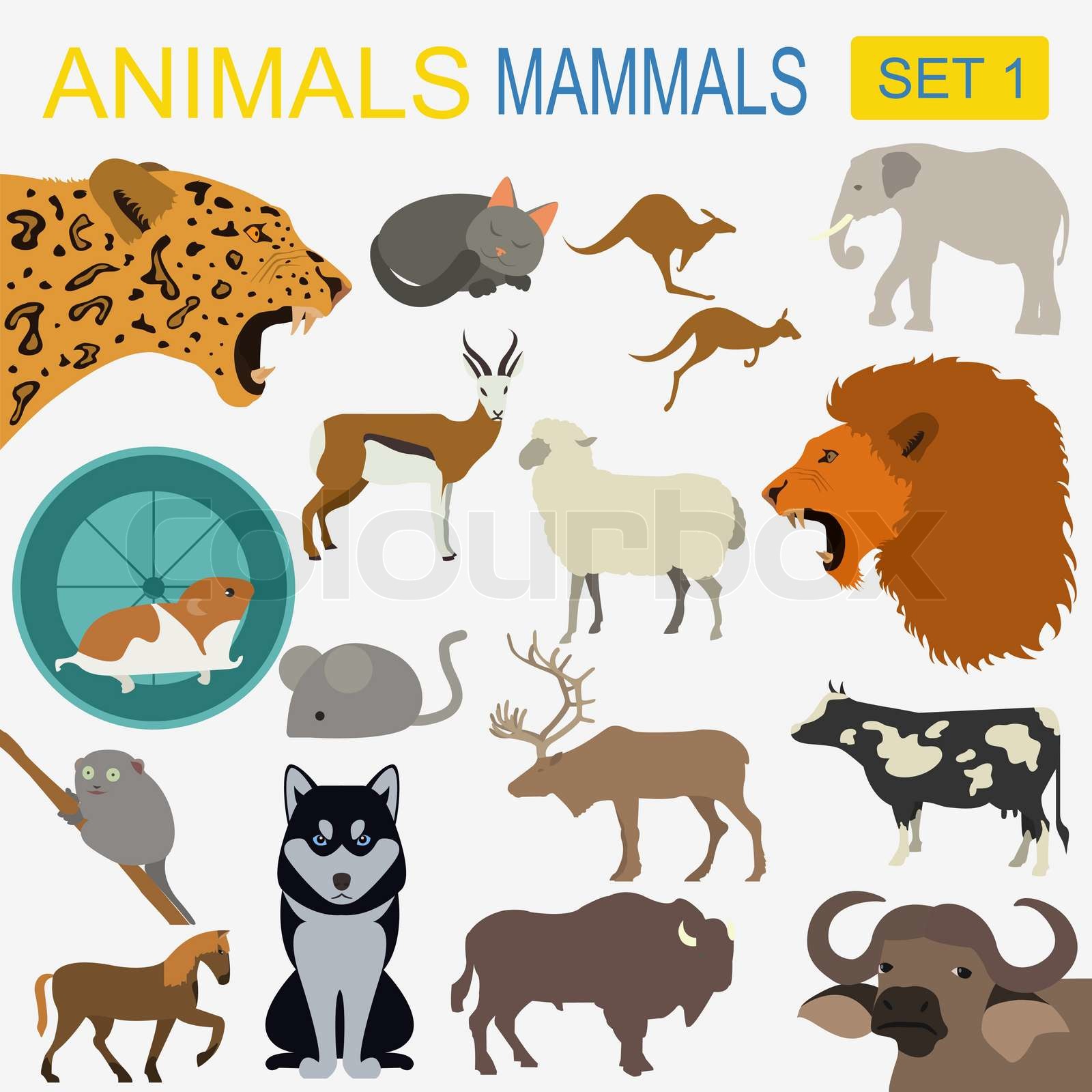 Animals mammals icon set. Vector flat style | Stock vector | Colourbox