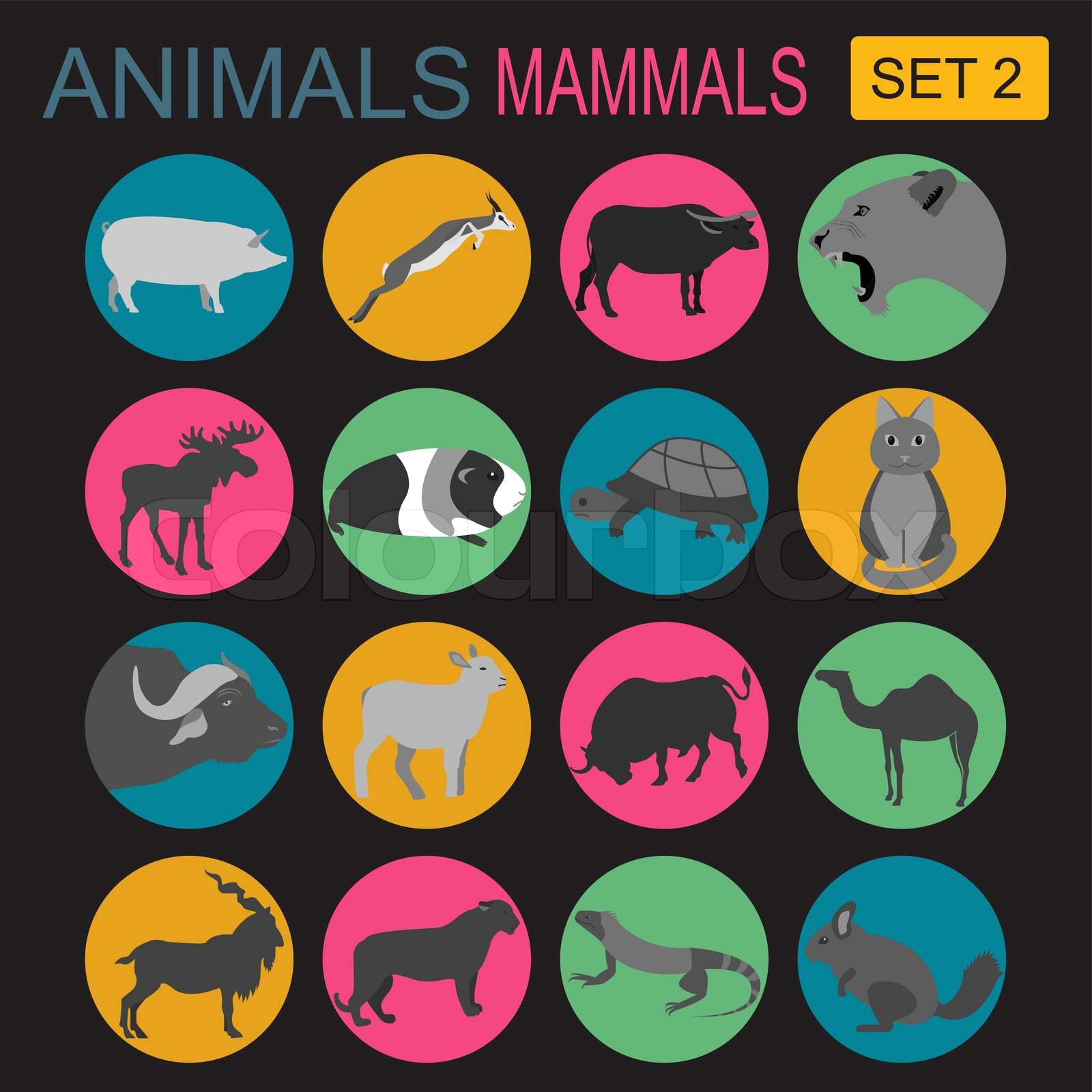 Animals mammals icon set. Vector flat style | Stock vector | Colourbox Animals mammals icon set. Vector flat style | Stock vector | Colourbox