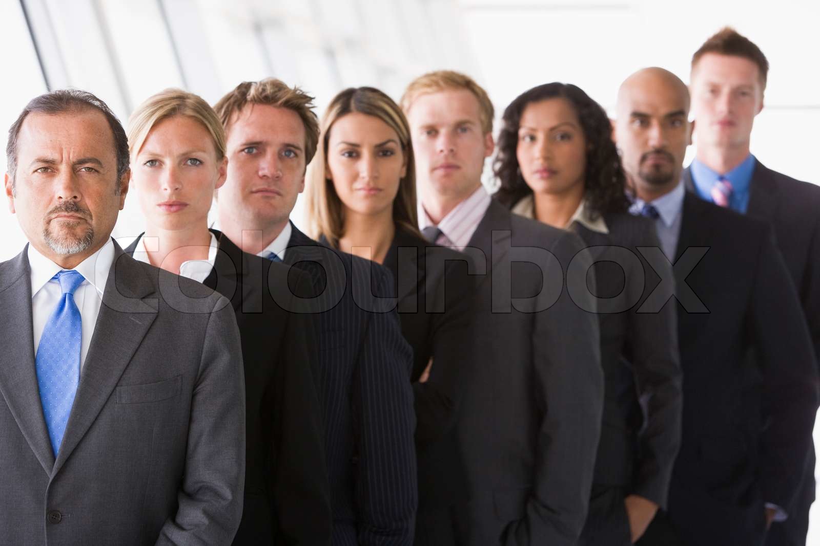 Group of office staff lined up facing camera | Stock image | Colourbox