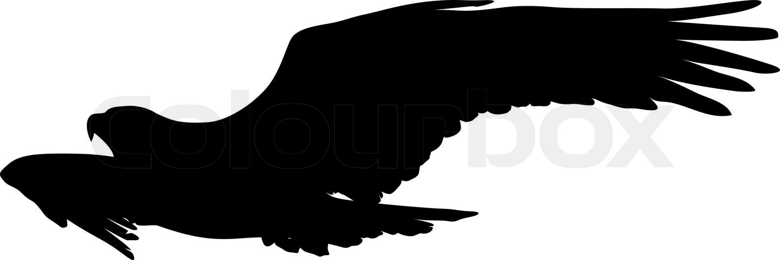 Vector eagle flying | Stock vector | Colourbox