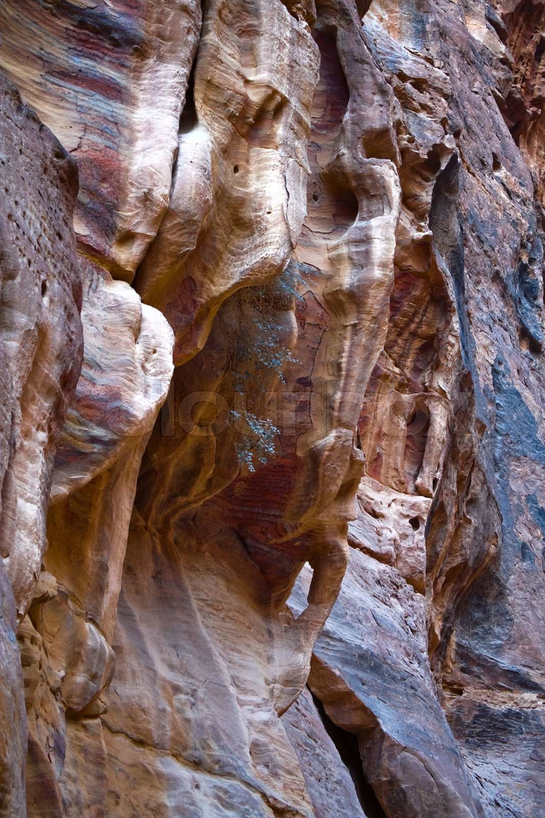 Fancy shapes of rocks. The Siq at Petra, Jordan | Stock image | Colourbox