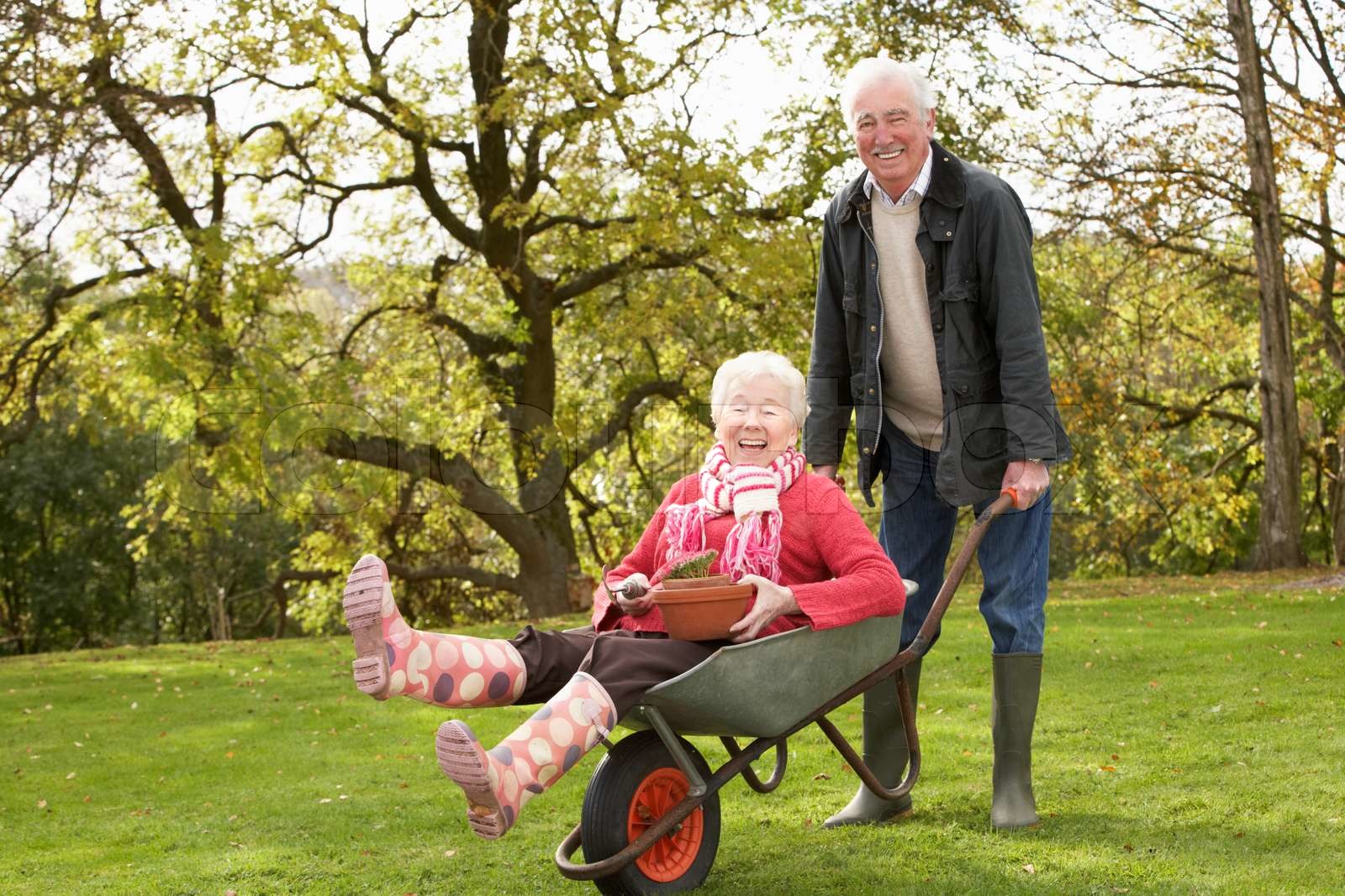 Senior Couple Man Giving Woman Ride In Wheelbarrow | Stock image ...