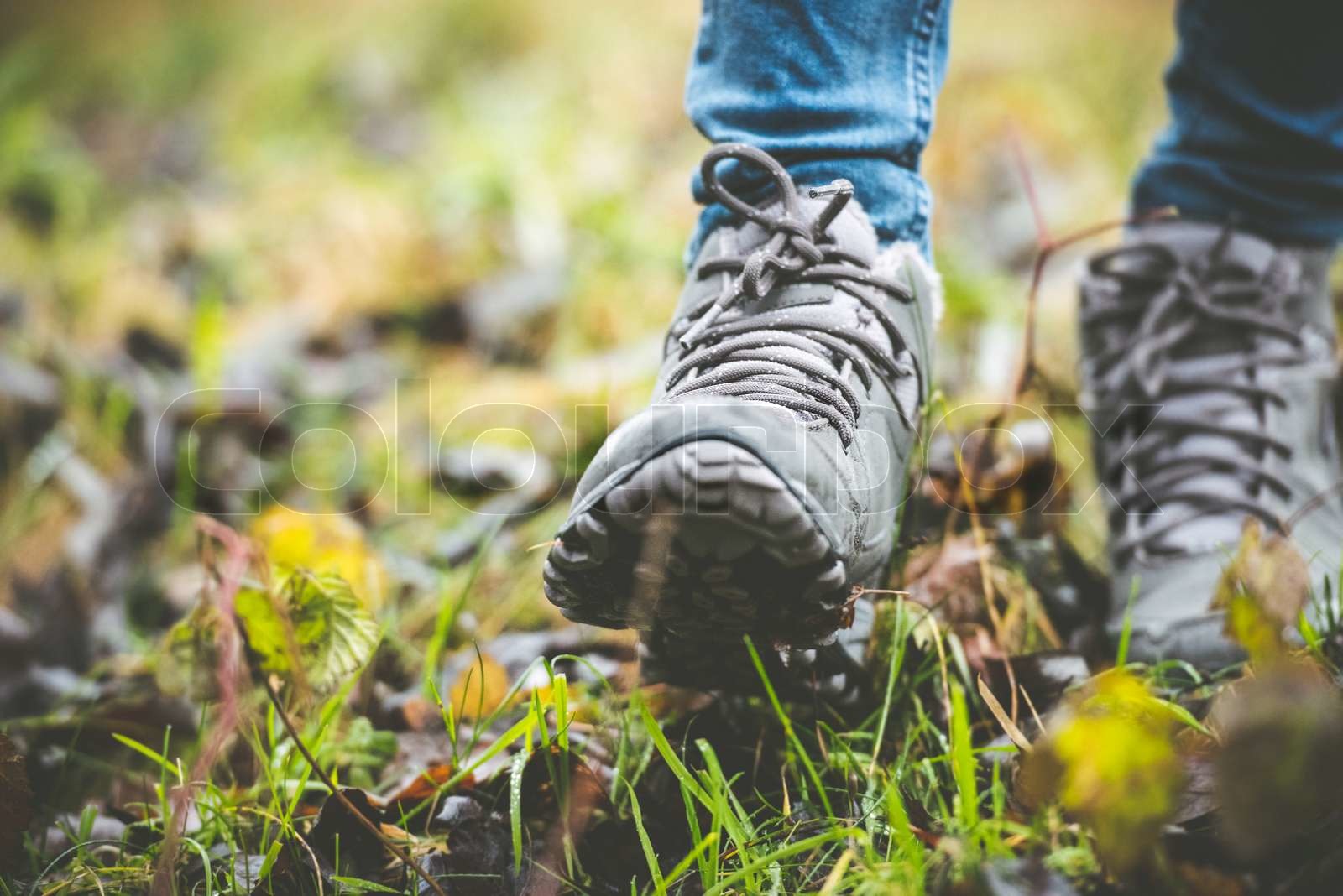 shoes in a forest | Stock image | Colourbox