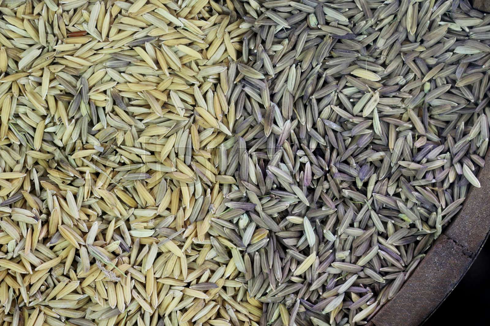 close up organic rice in sack bag | Stock image | Colourbox