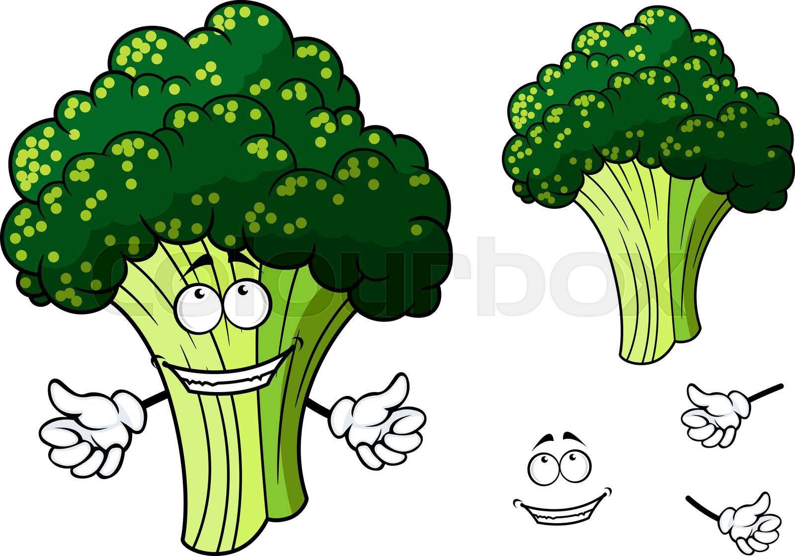 Happy fresh cartoon broccoli giving a thumbs up | Stock vector | Colourbox