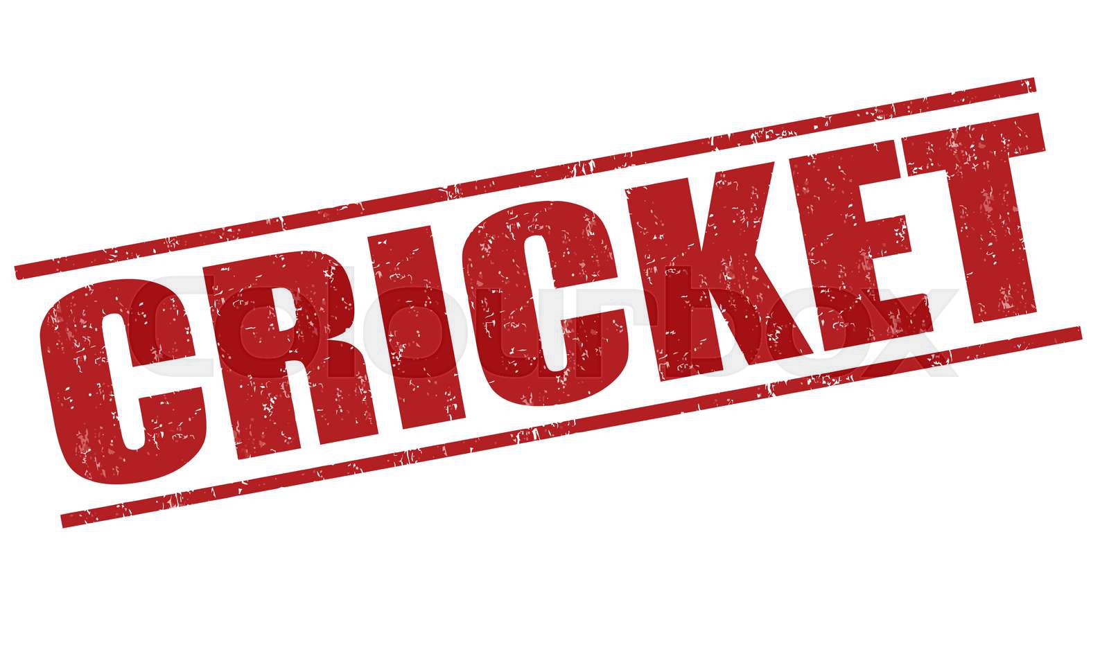 Cricket stamp | Stock vector | Colourbox