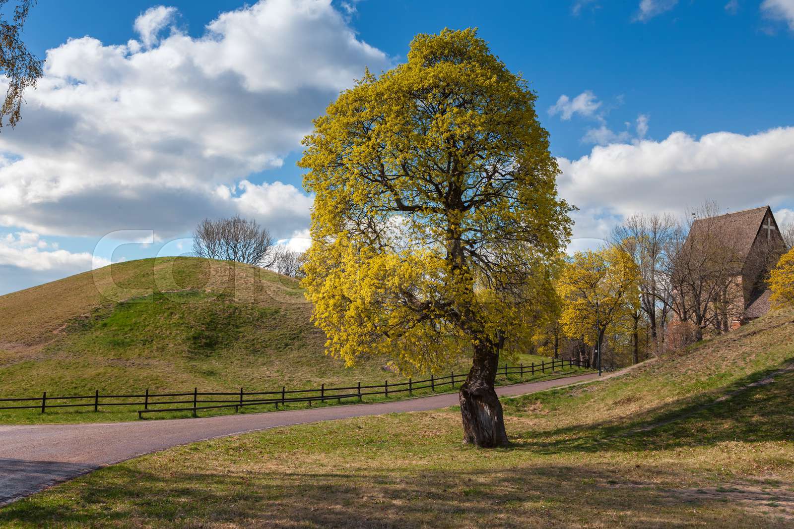 Swedish rural landscape | Stock image | Colourbox