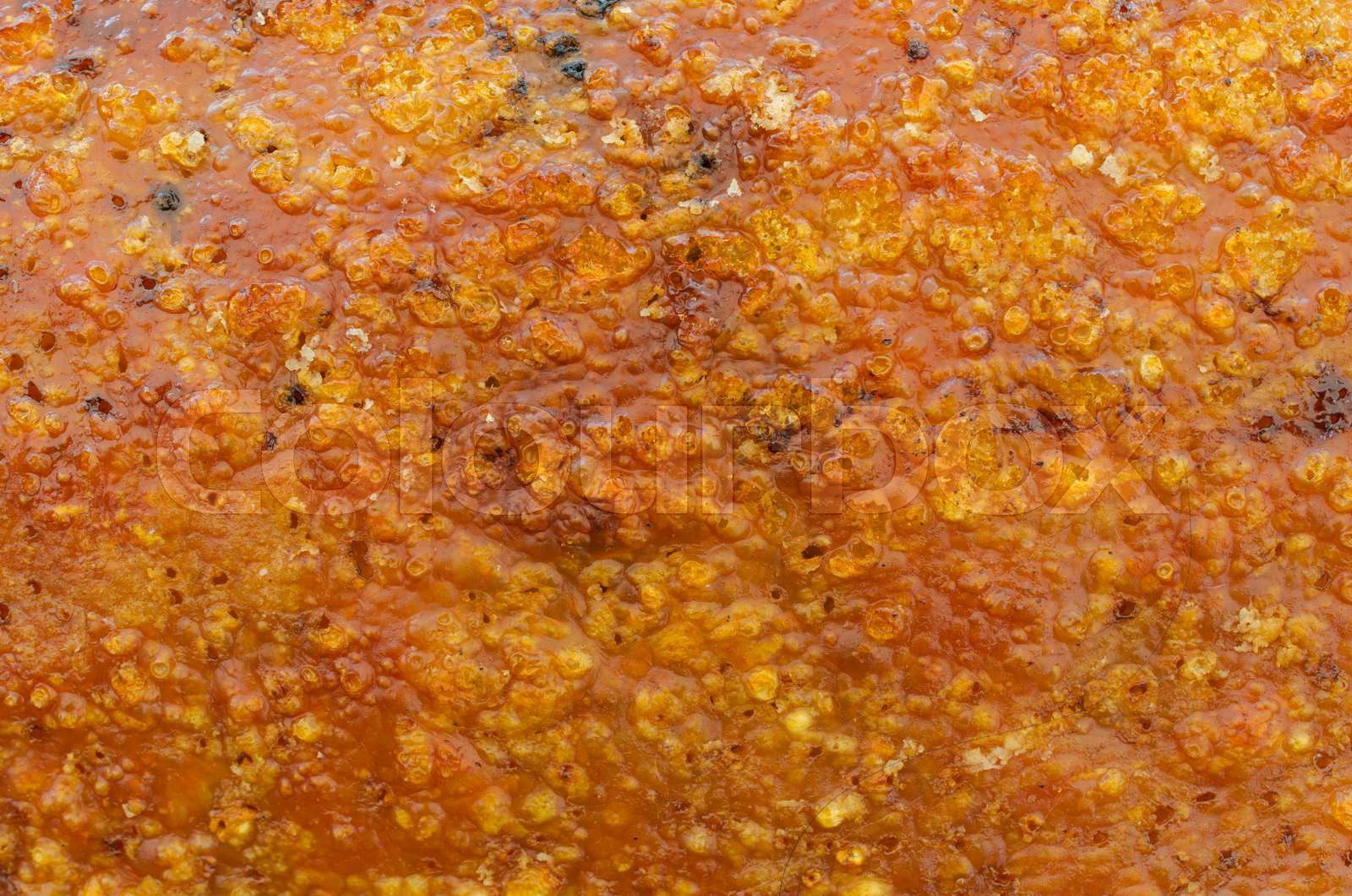texture of skin roasted pig. | Stock image | Colourbox