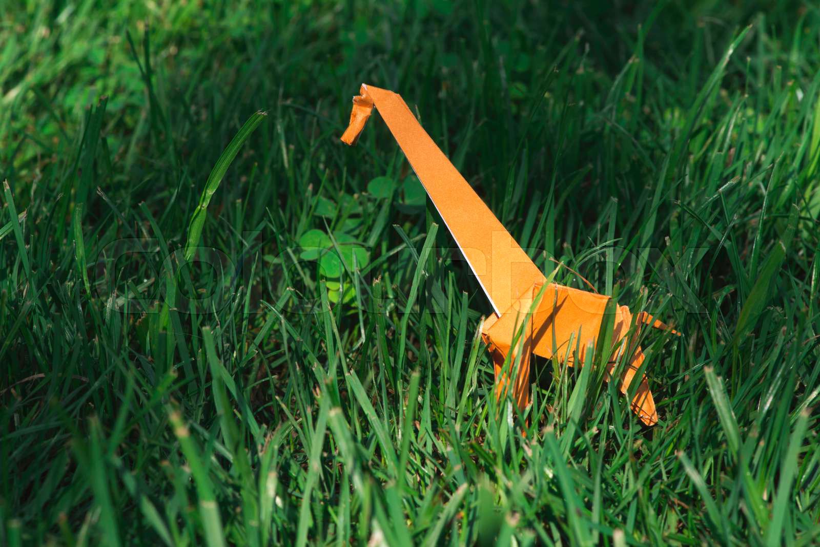 Origami giraffe | Stock image | Colourbox