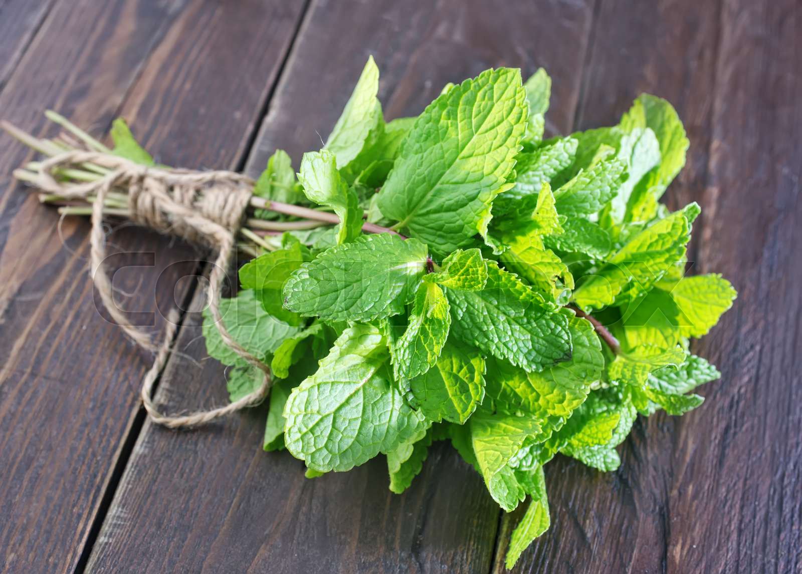 fresh mint | Stock image | Colourbox