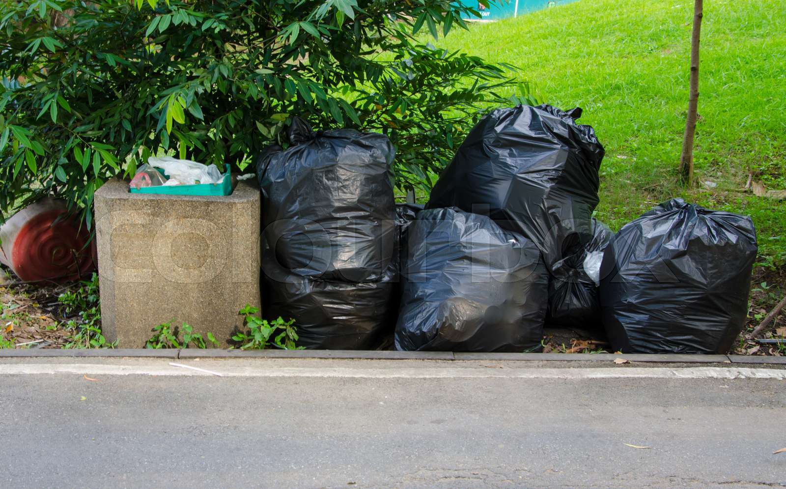 pile of full garbage bags in a dump | Stock image | Colourbox
