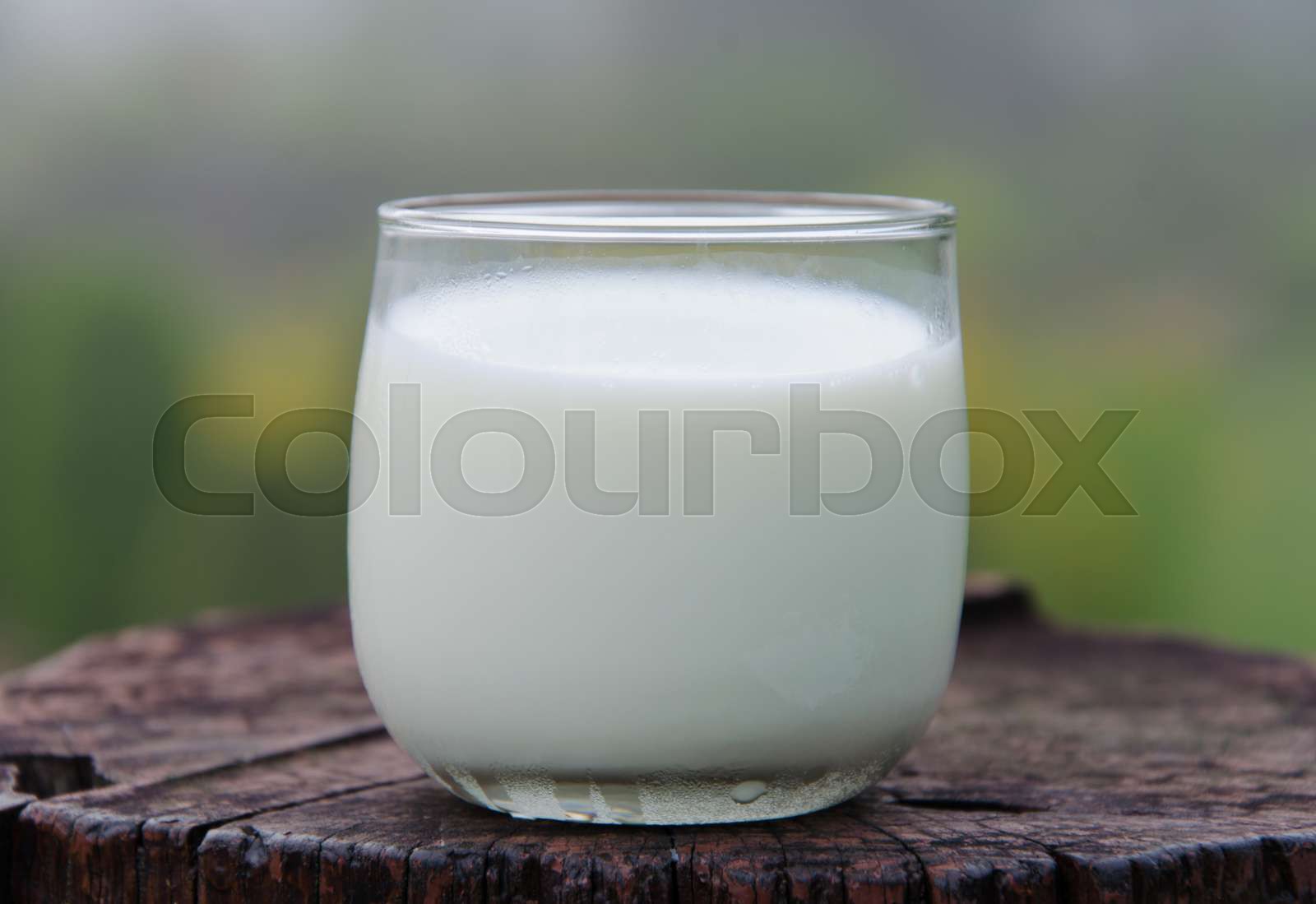 Glass of fresh milk | Stock image | Colourbox