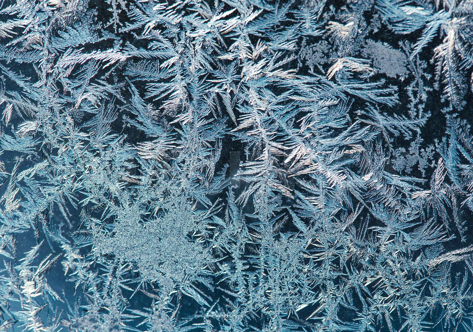 frozen glass | Stock image | Colourbox
