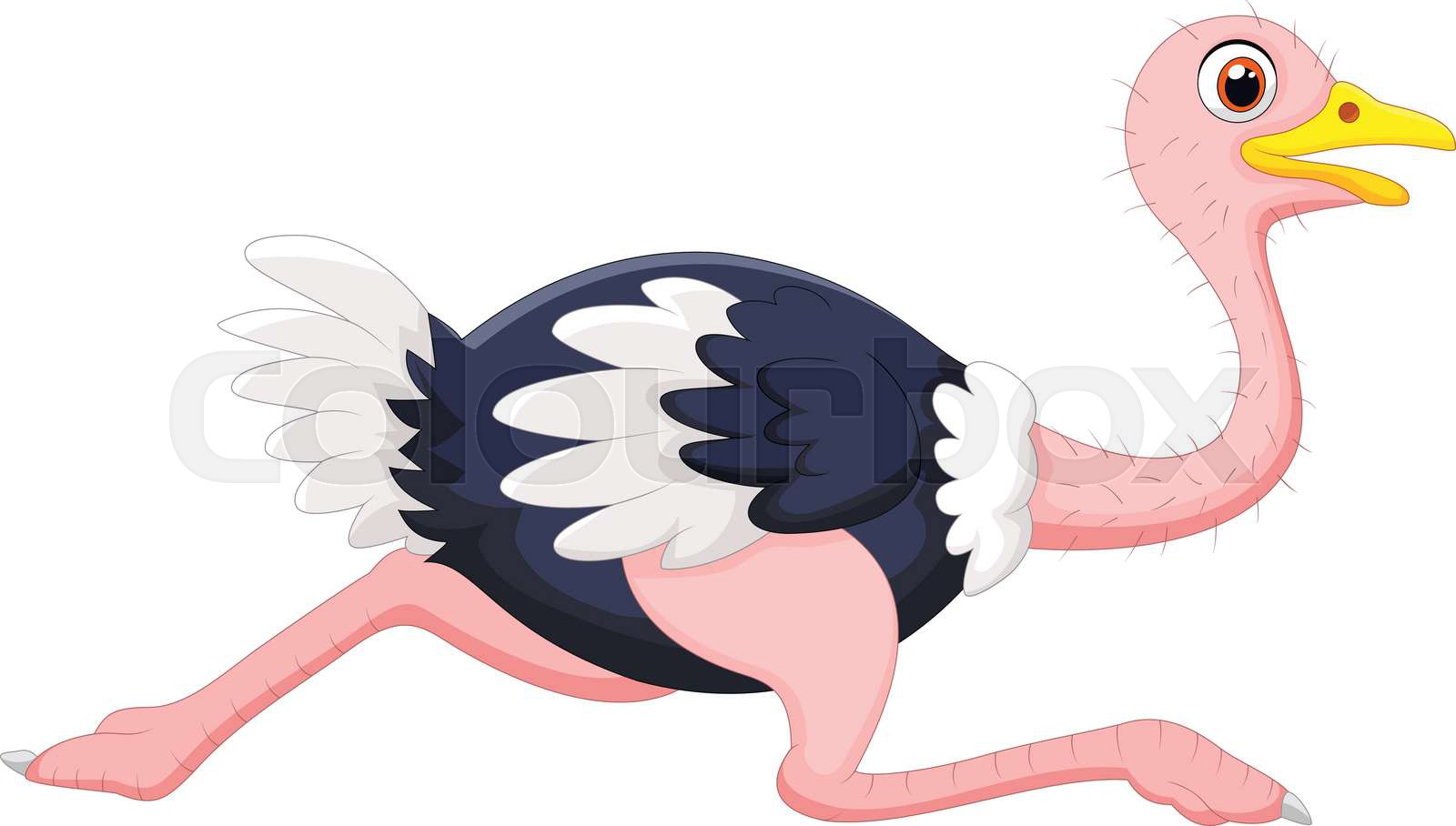 strauß, cartoon, wild | Stock-Vektor | Colourbox