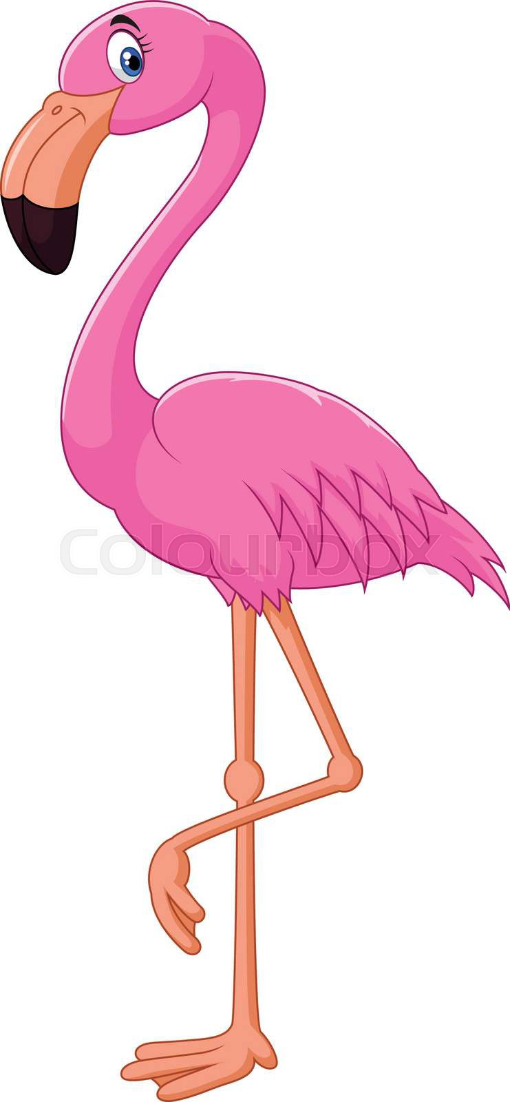 Cartoon flamingo bird | Stock vector | Colourbox