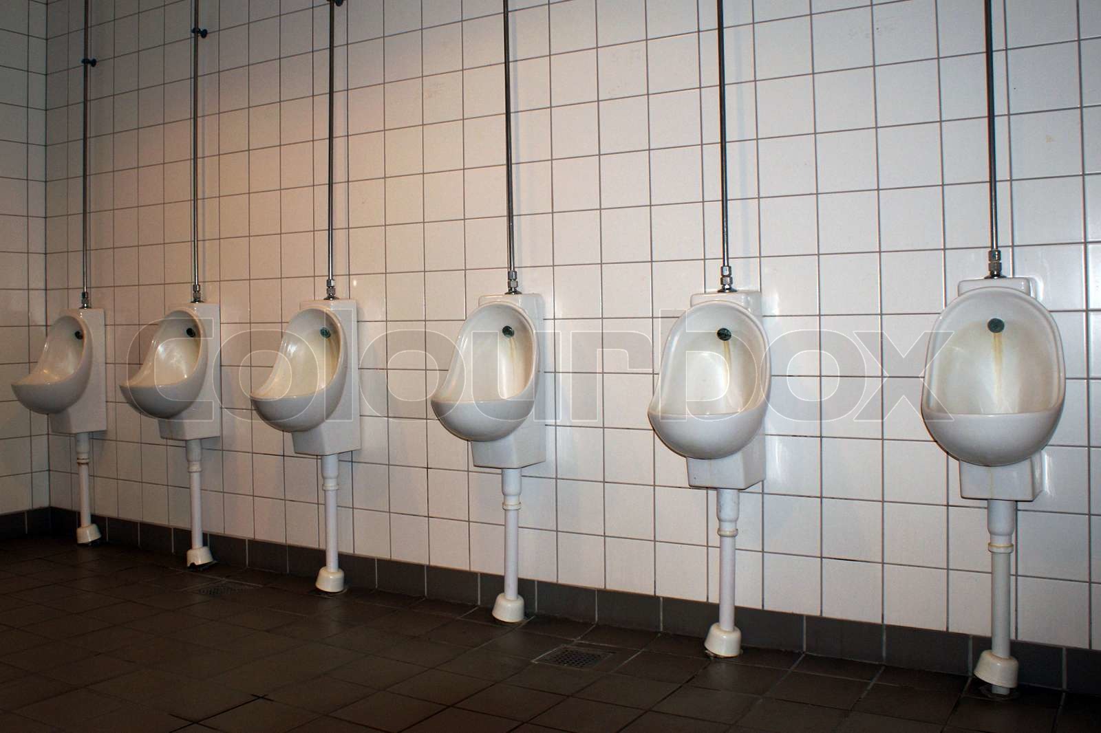 Mens room. 6x urinals. | Stock image | Colourbox