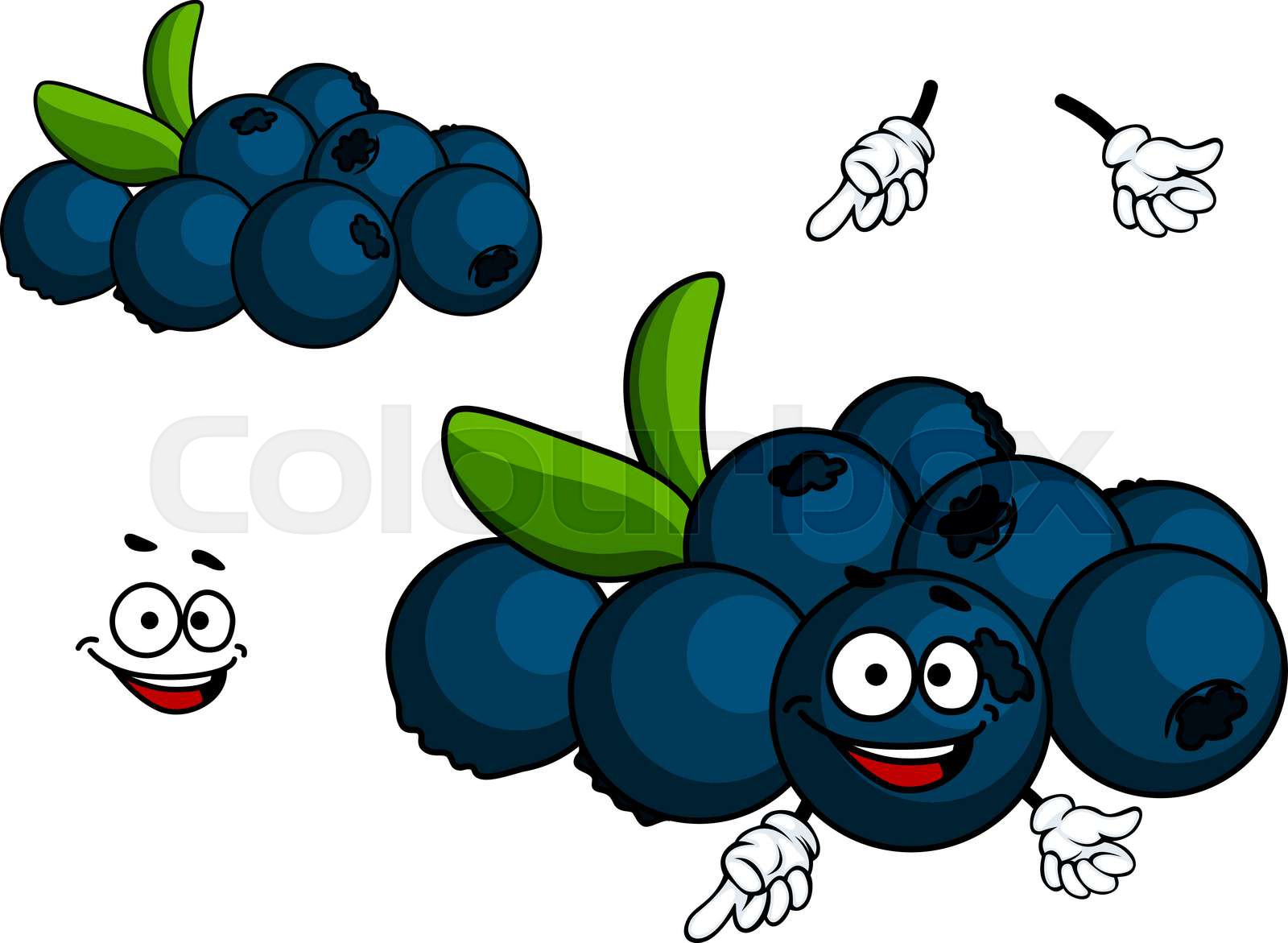 Cartoon Blueberry character | Stock vector | Colourbox