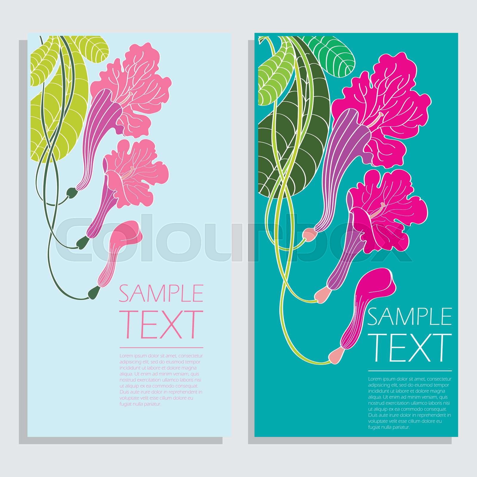 banner with abstract floral pattern | Stock vector | Colourbox