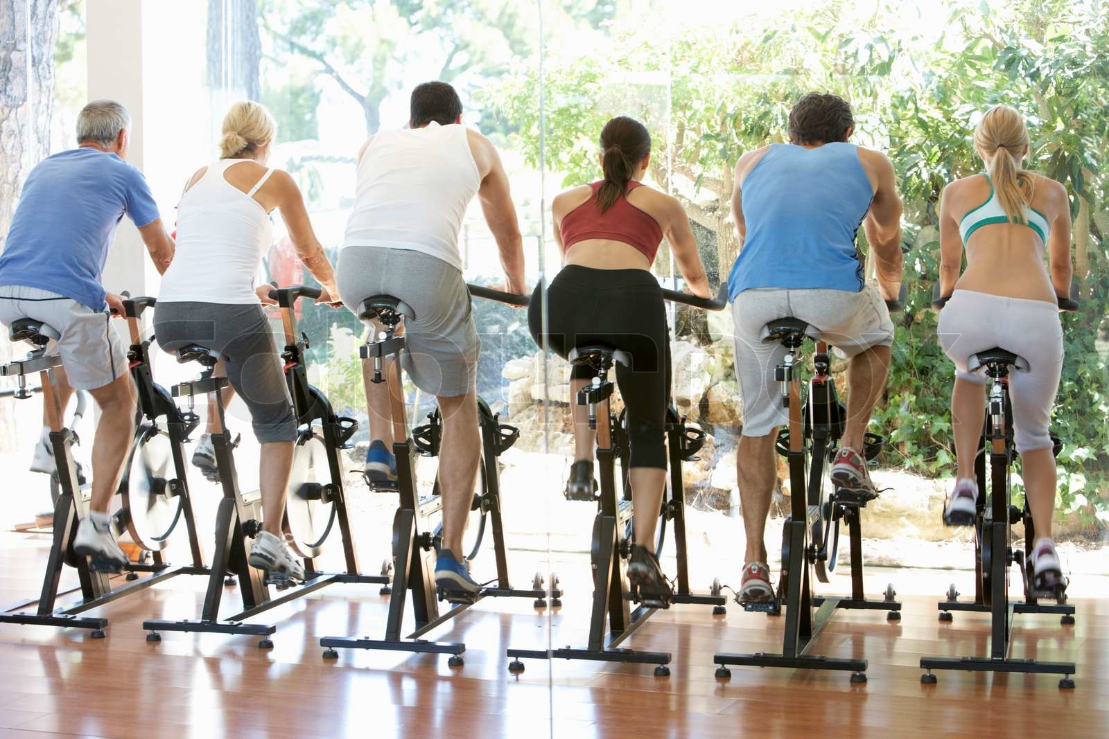 Group Of People In Spinning Class In Gym | Stock image | Colourbox