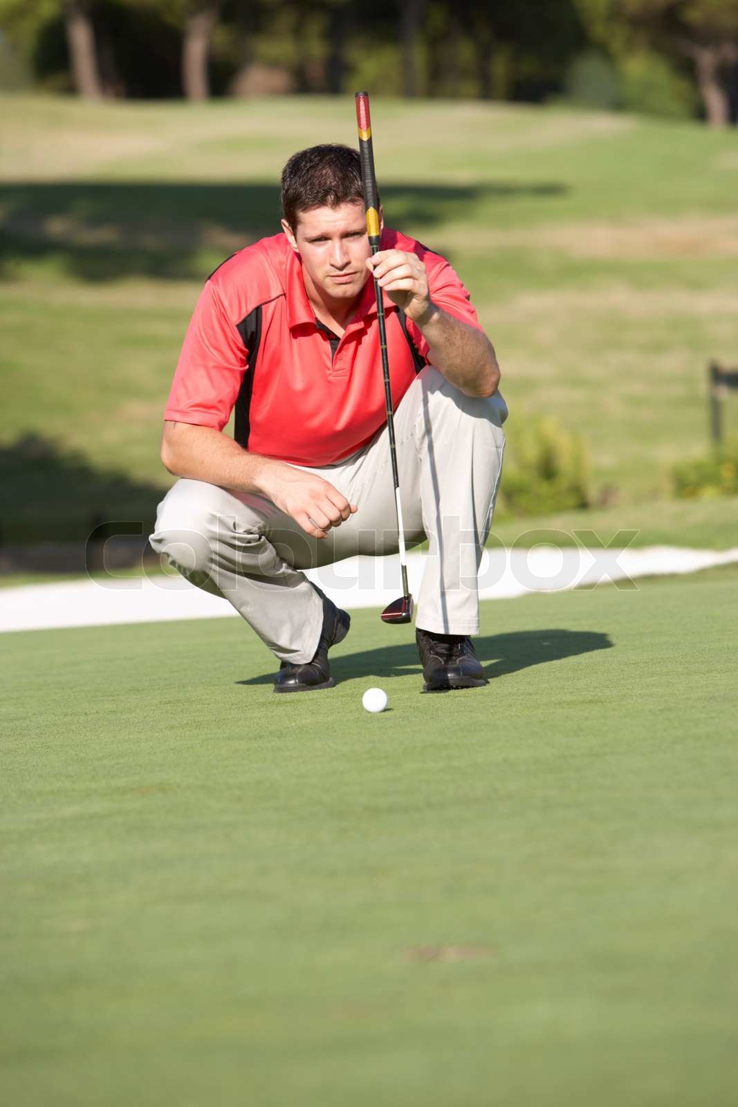 Male Golfer On Golf Course Lining Up Putt On Green | Stock image ...