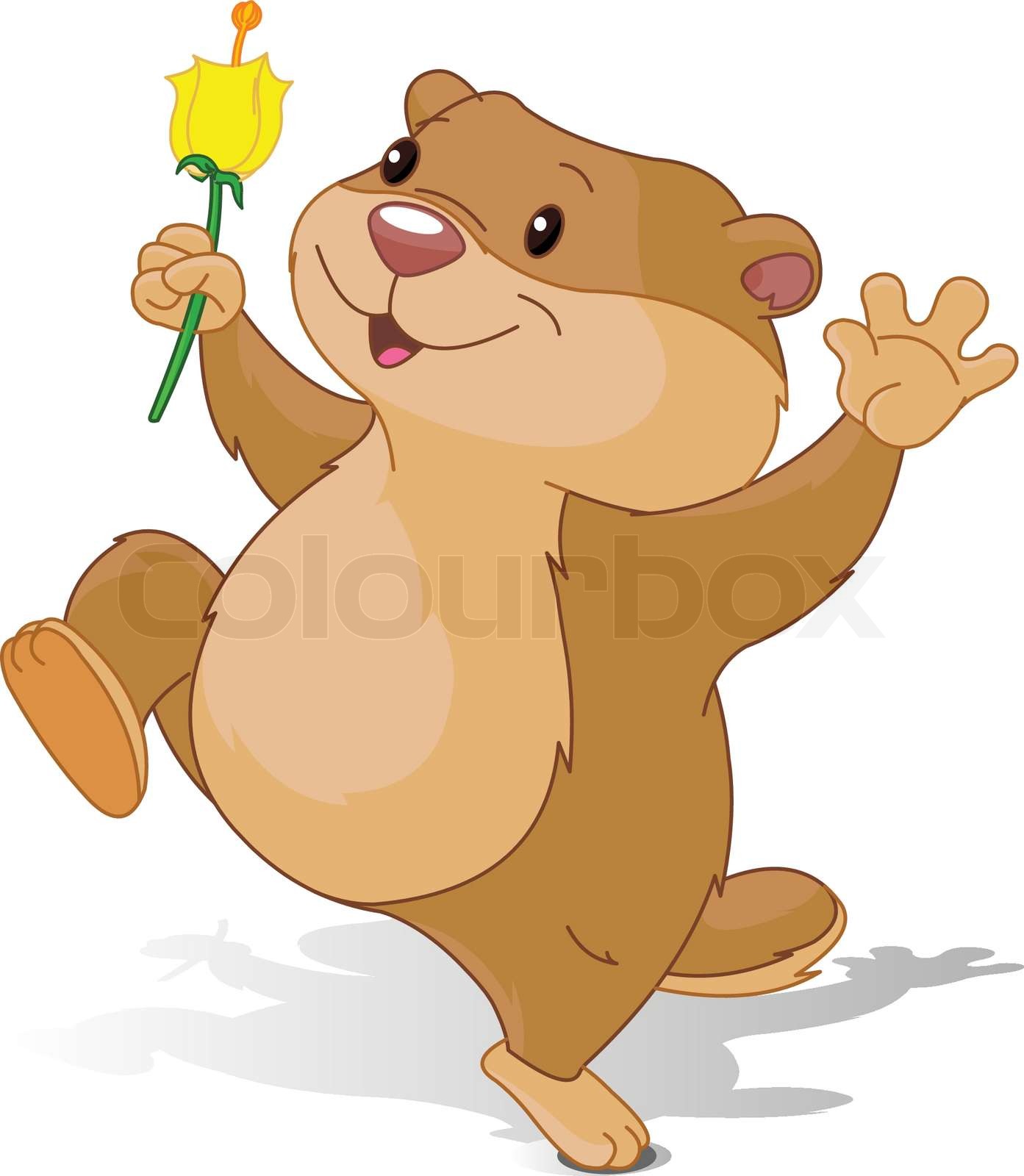 Groundhog dancing with first flower | Stock vector | Colourbox