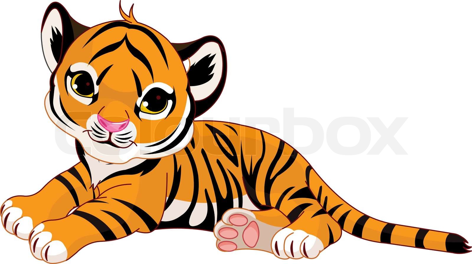 tiger, baby, dyr | Stock vektor | Colourbox