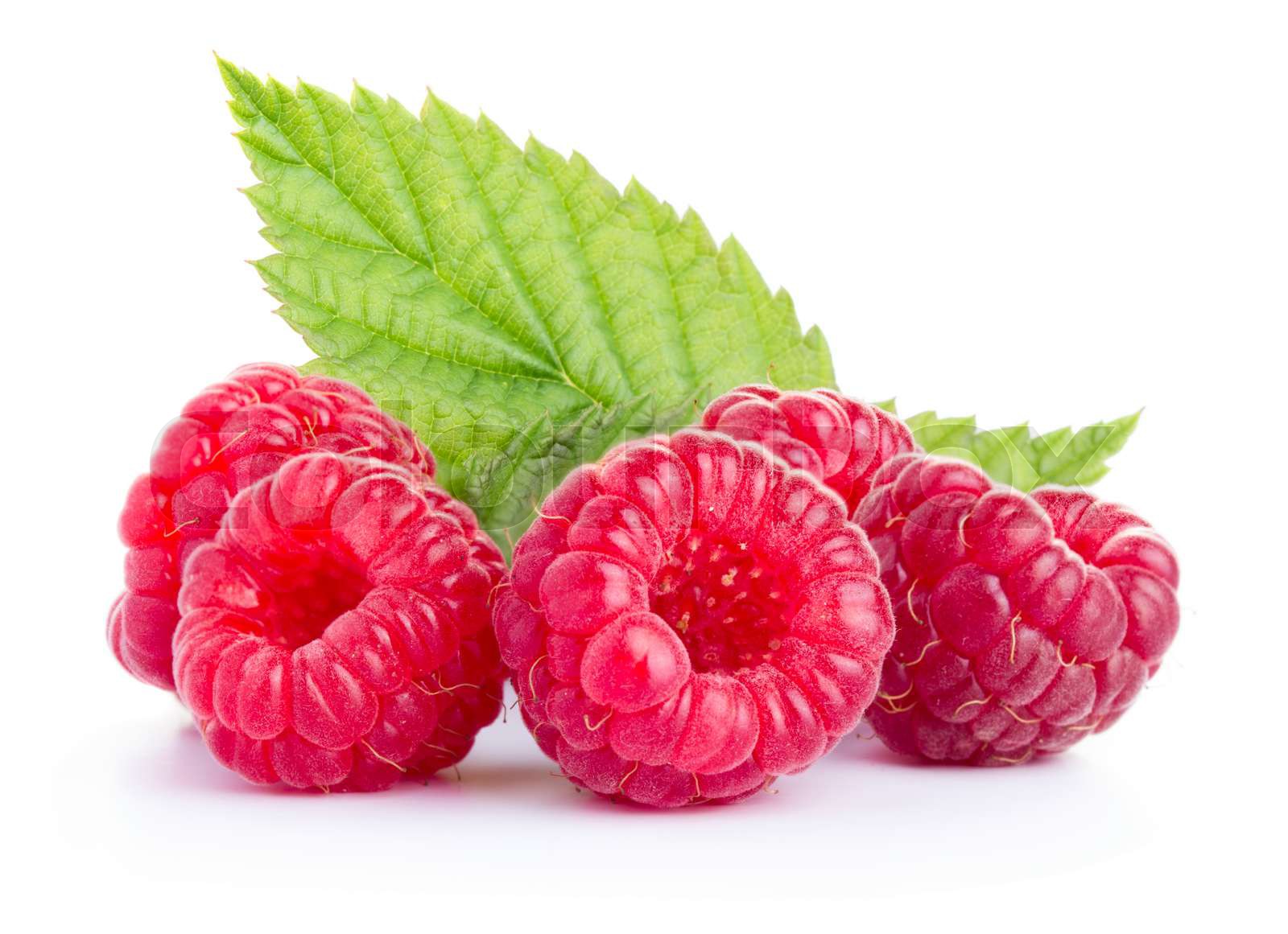 Raspberry | Stock image | Colourbox