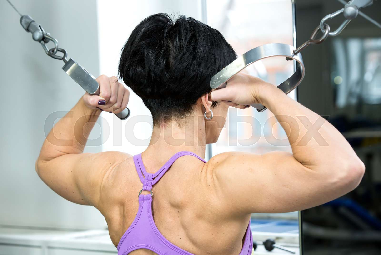 adult female bodybuilding competitions in the gym | Stock image | Colourbox