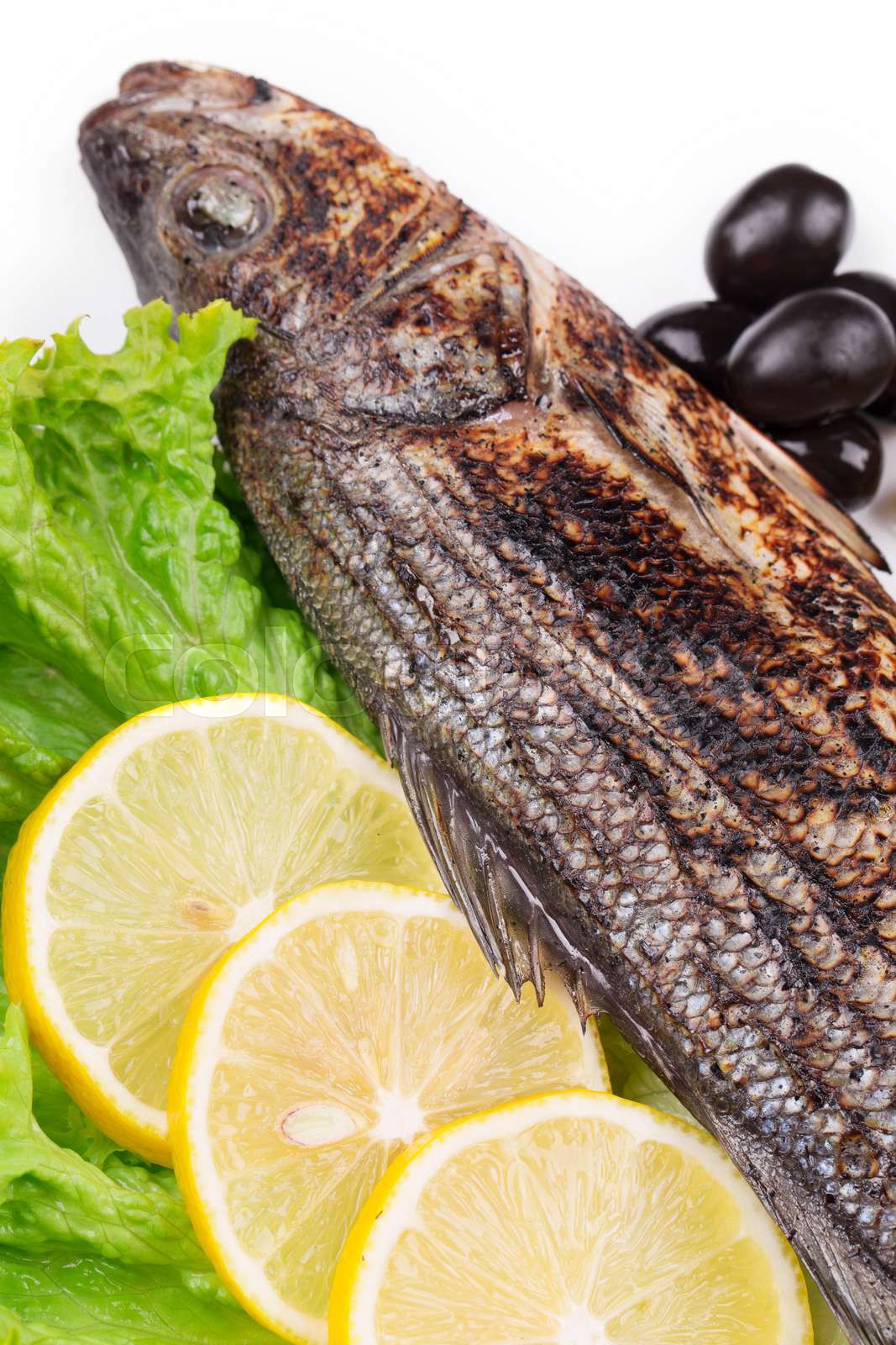 seabass grilled | Stock image | Colourbox